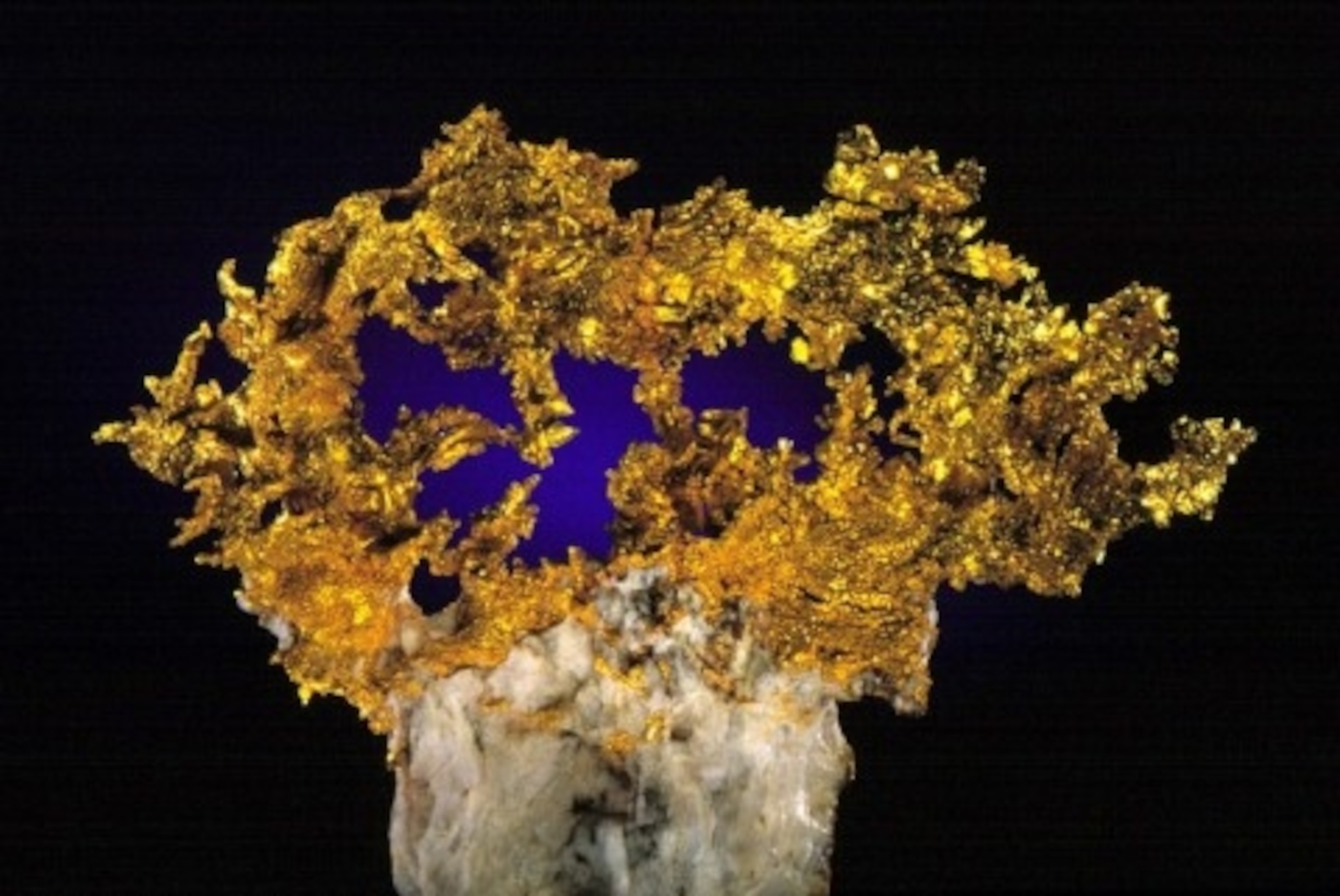 Striking “Gold” in the Cresent City | National Geographic