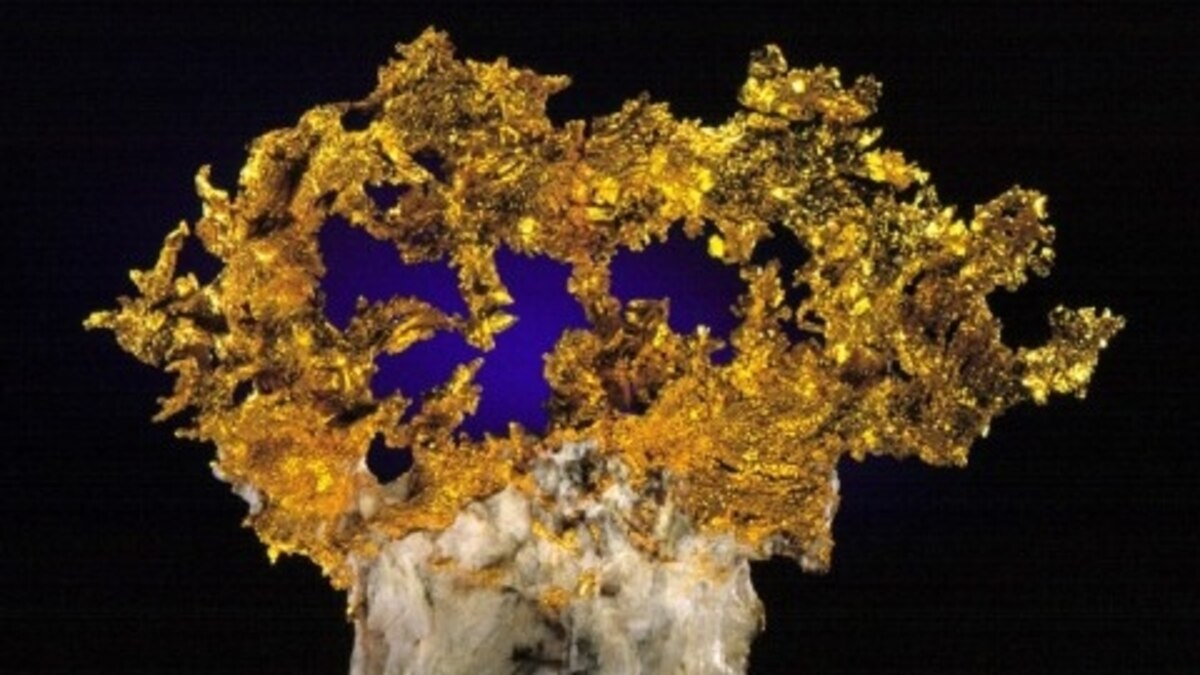 Striking “Gold” in the Cresent City | National Geographic