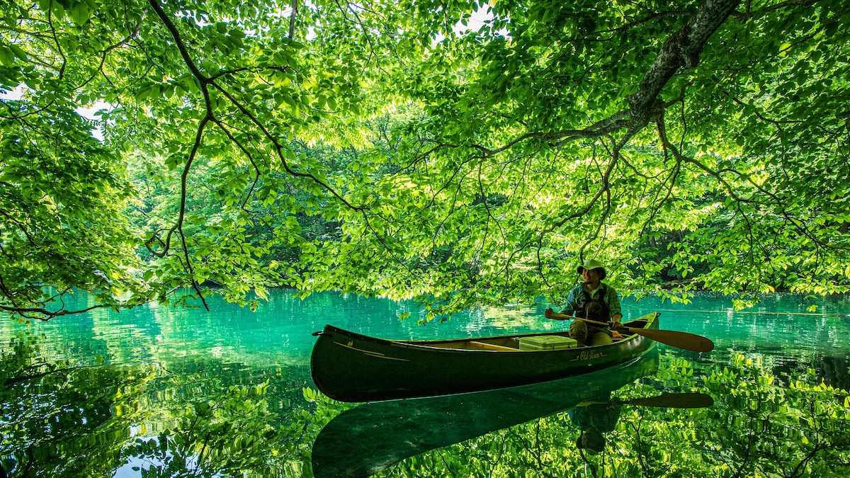 The protectors and promoters of Japan's National Parks