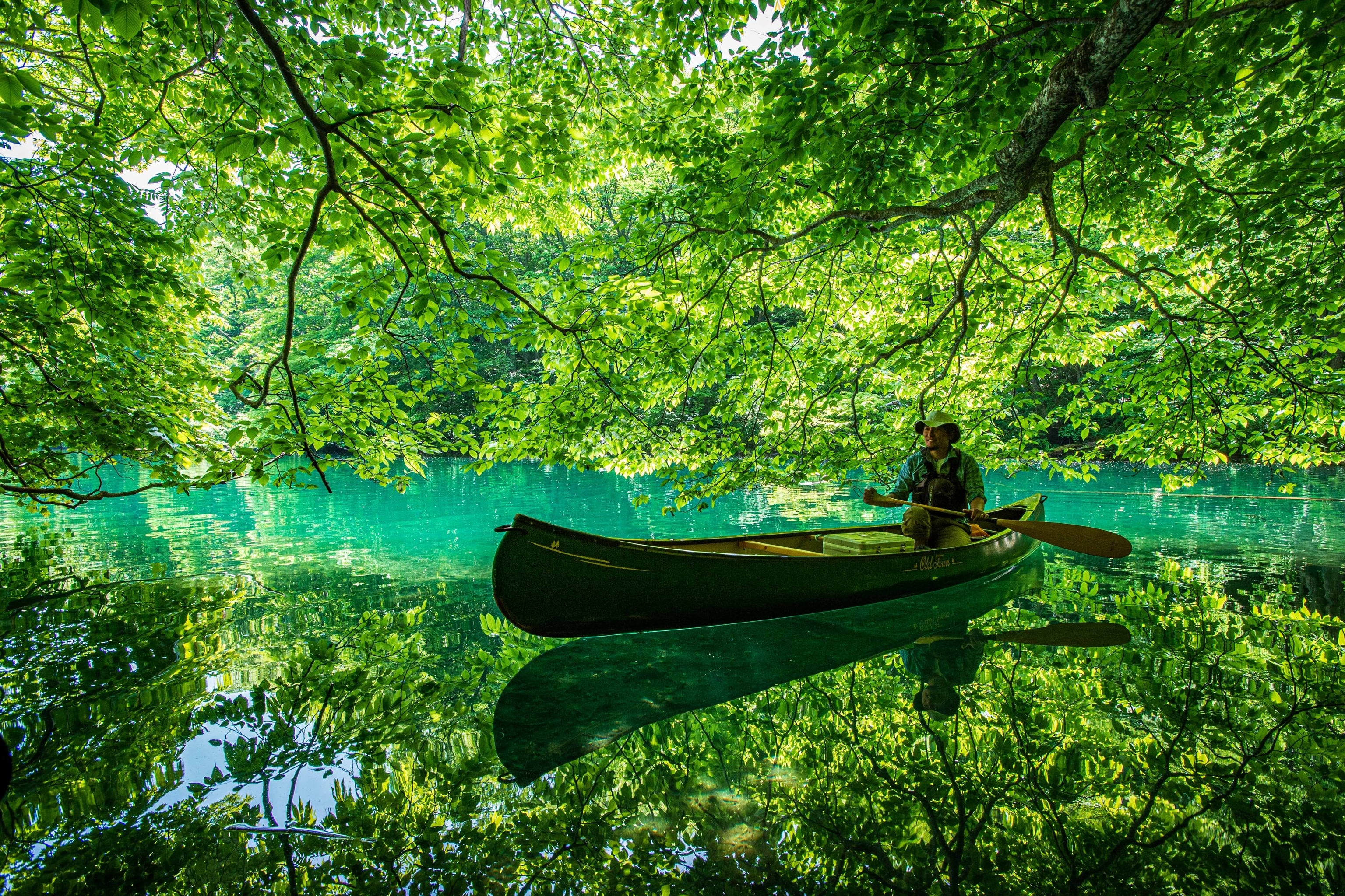 The protectors and promoters of Japan's National Parks