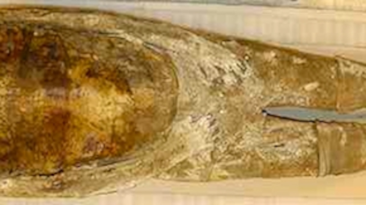 Ashes to Ashes, Soap to Soap (Or Maybe Ashes to Soap) | National Geographic