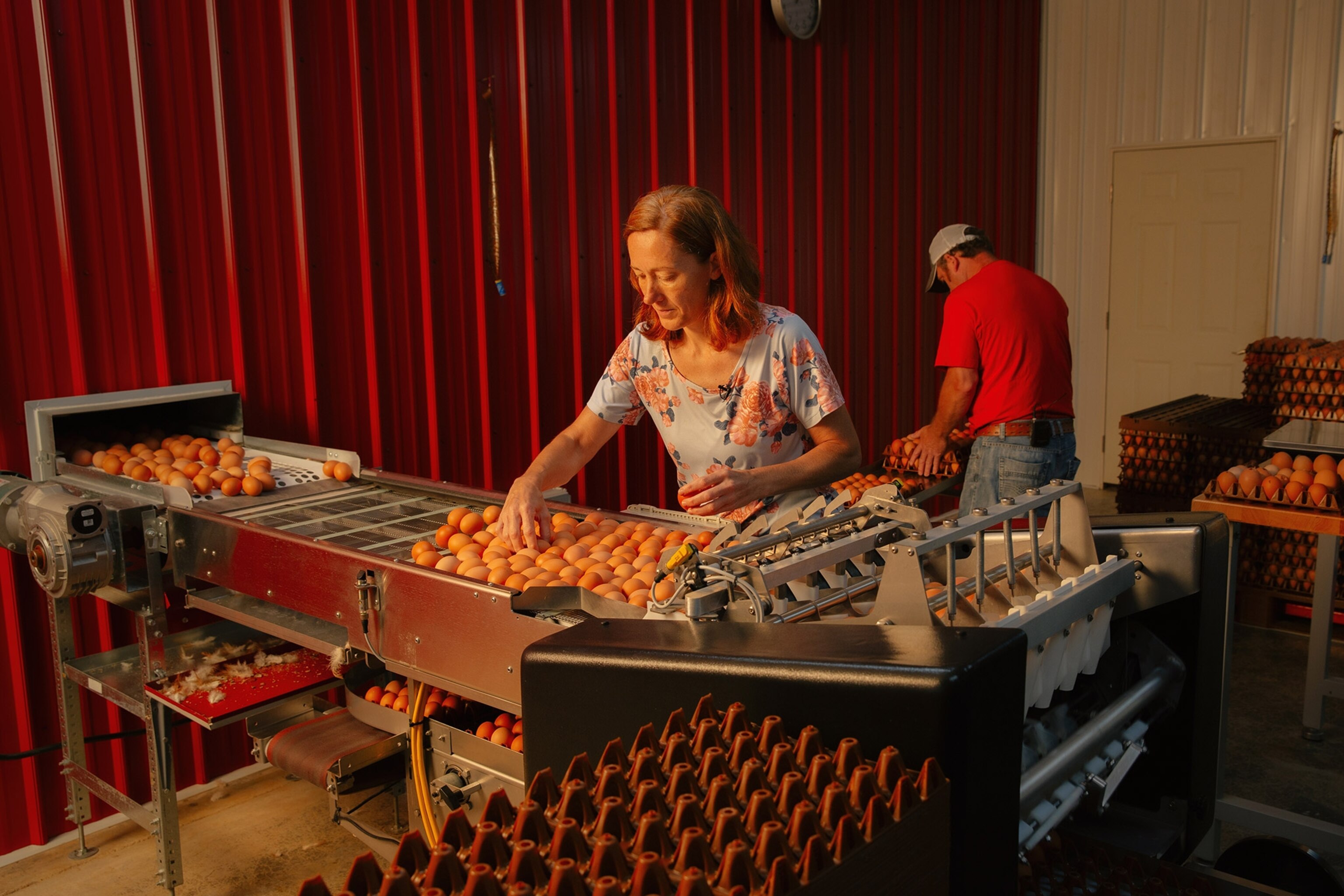 What does ‘pasture-raised’ really mean?