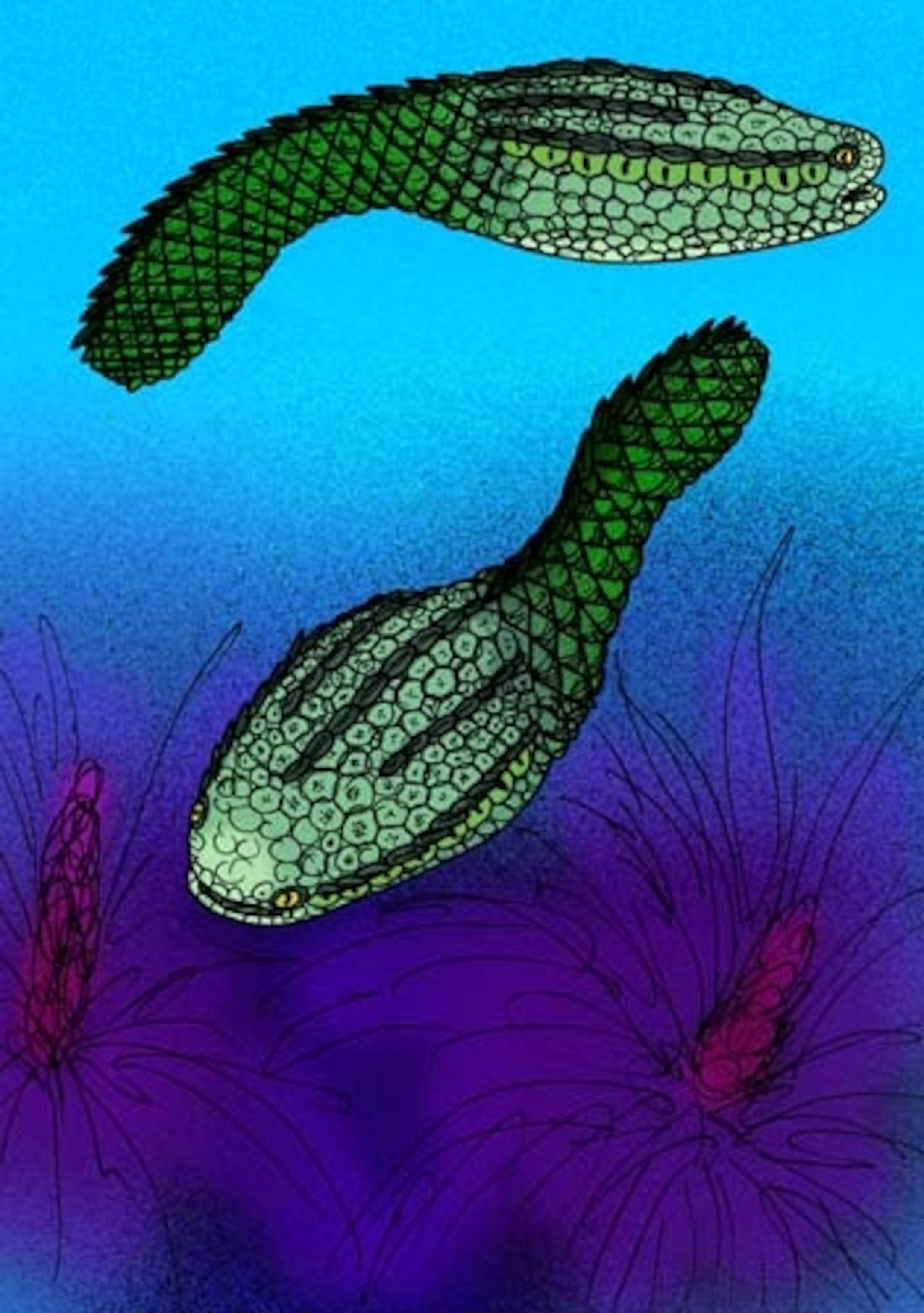 Bone From the Outside In | National Geographic