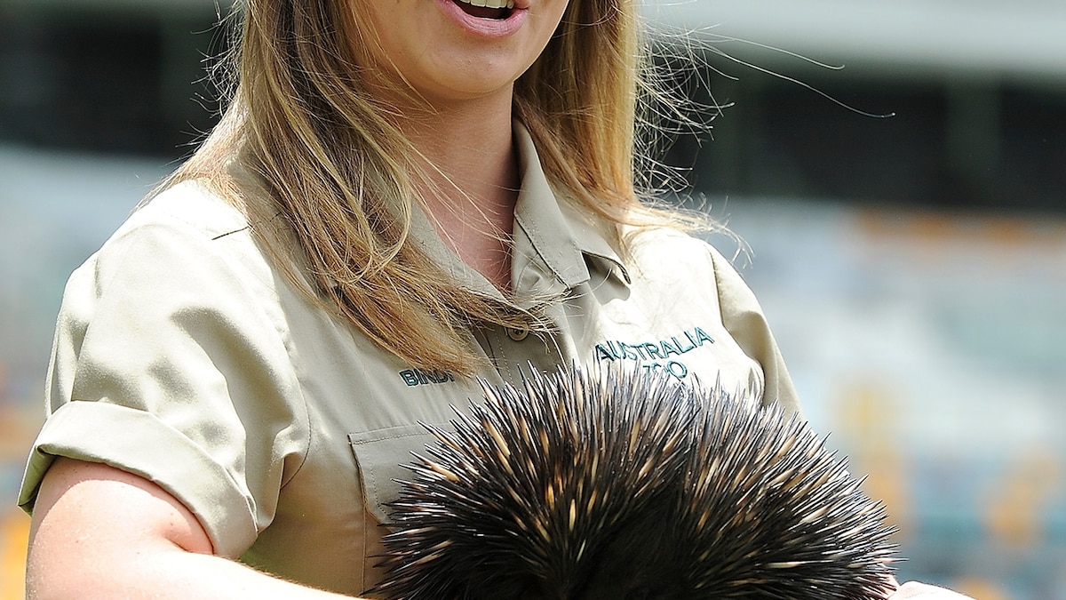 Bindi Irwin Takes Heat for New SeaWorld Project | National Geographic