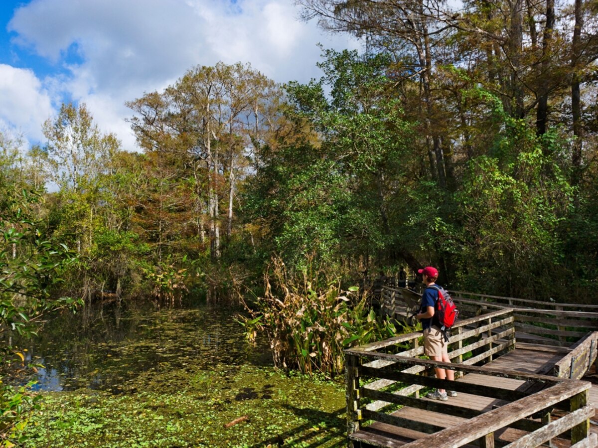 Florida by Land: Hike or Bike Through a Swamp -- National Geographic