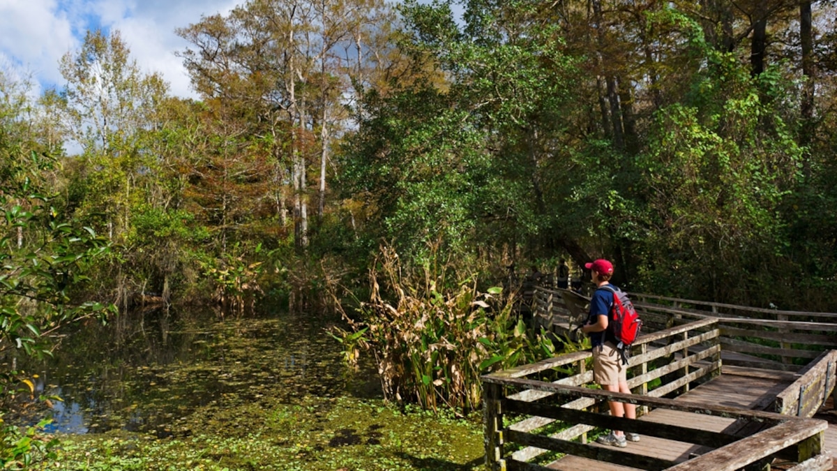 Florida by Land: Hike or Bike Through a Swamp -- National Geographic ...