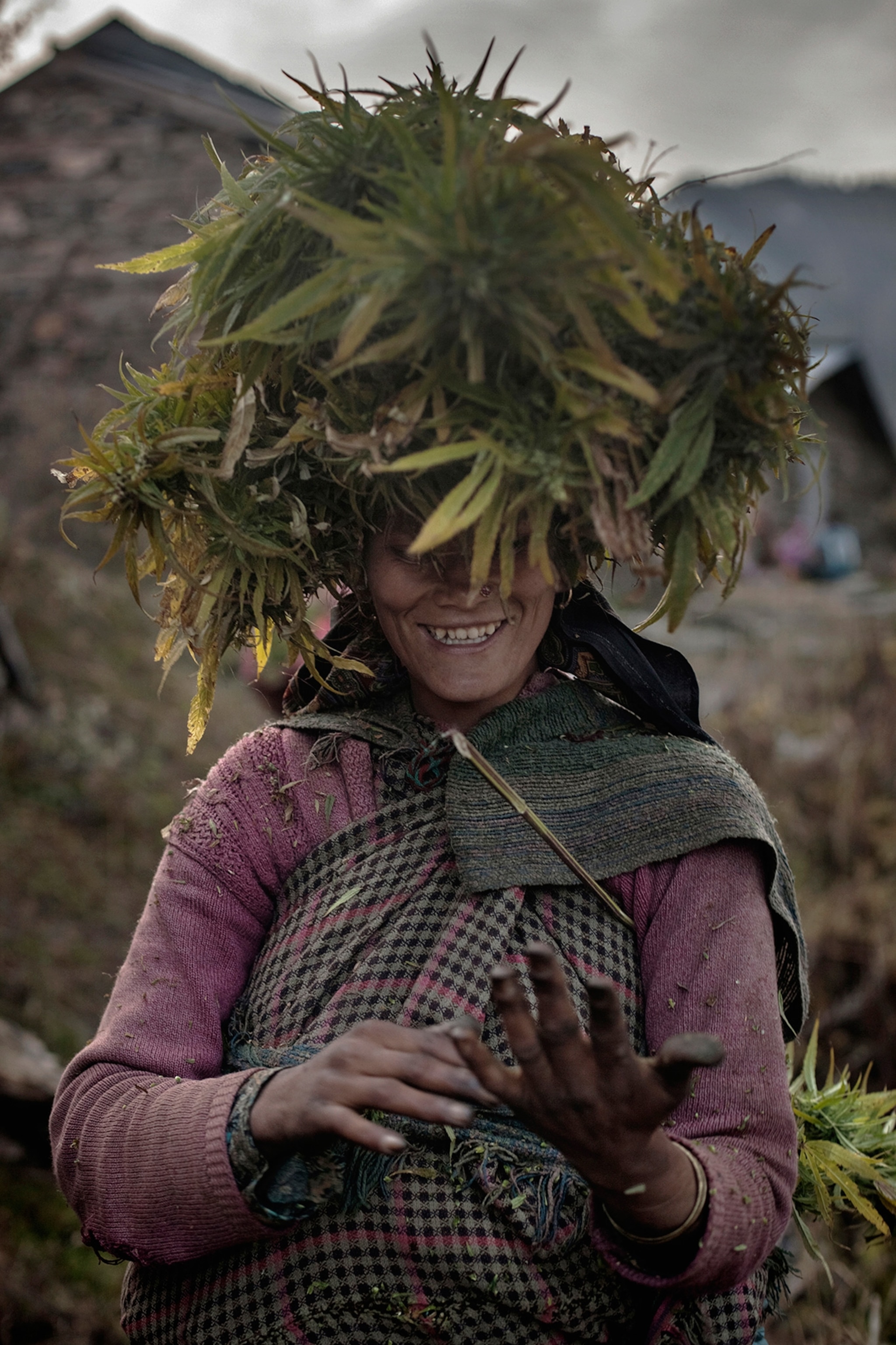 See Inside the Himalayan Villages That Grow Cannabis