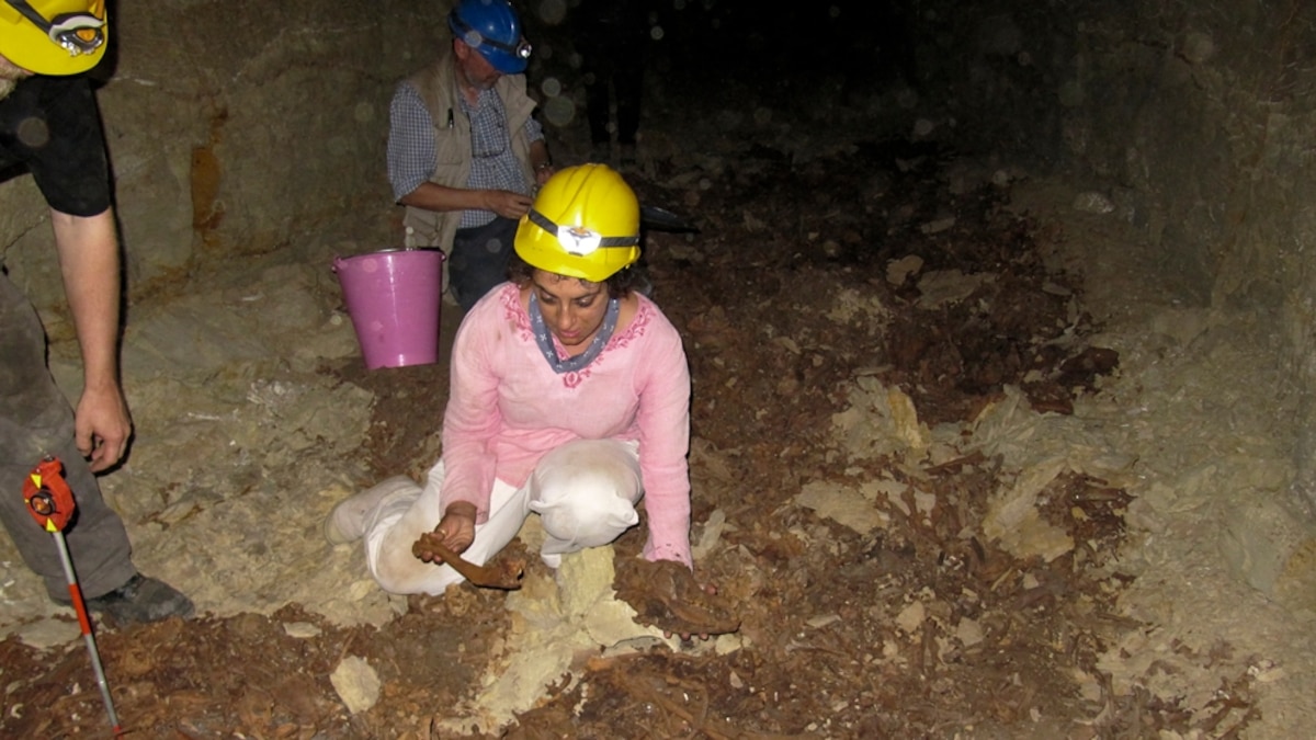 Pictures: Millions of Puppy Mummies in Egypt Labyrinth | National ...