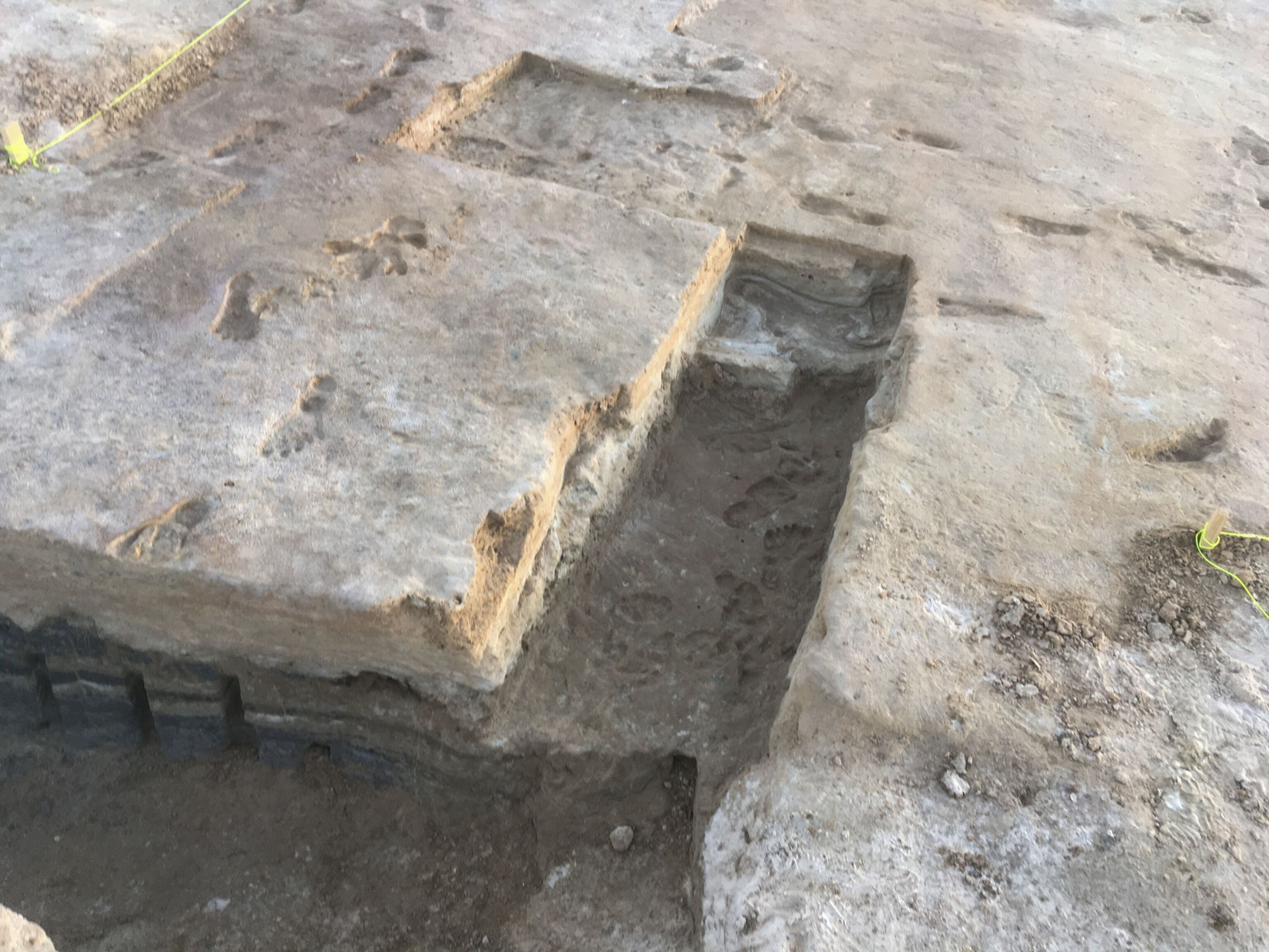 Stunning footprints push back human arrival in Americas by thousands of ...