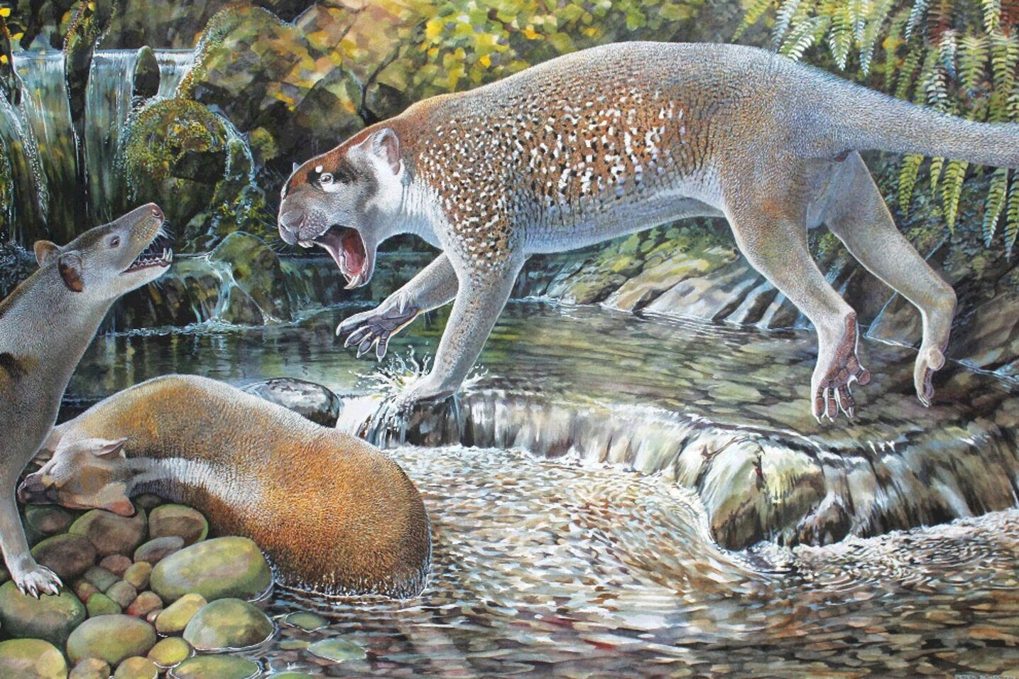 Marsupial Lion JWTG Designs Vs. JWA Designs? Day 18: Marsupial