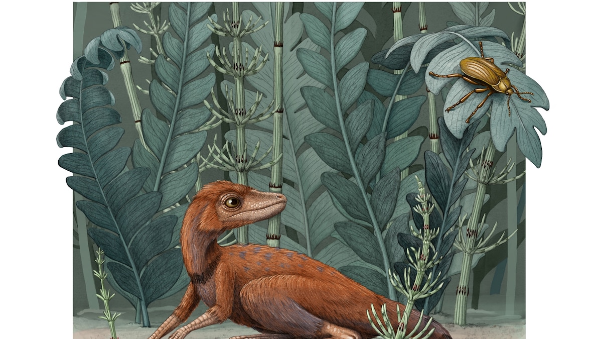 How the world's deadliest mass extinction actually helped the rise of ...