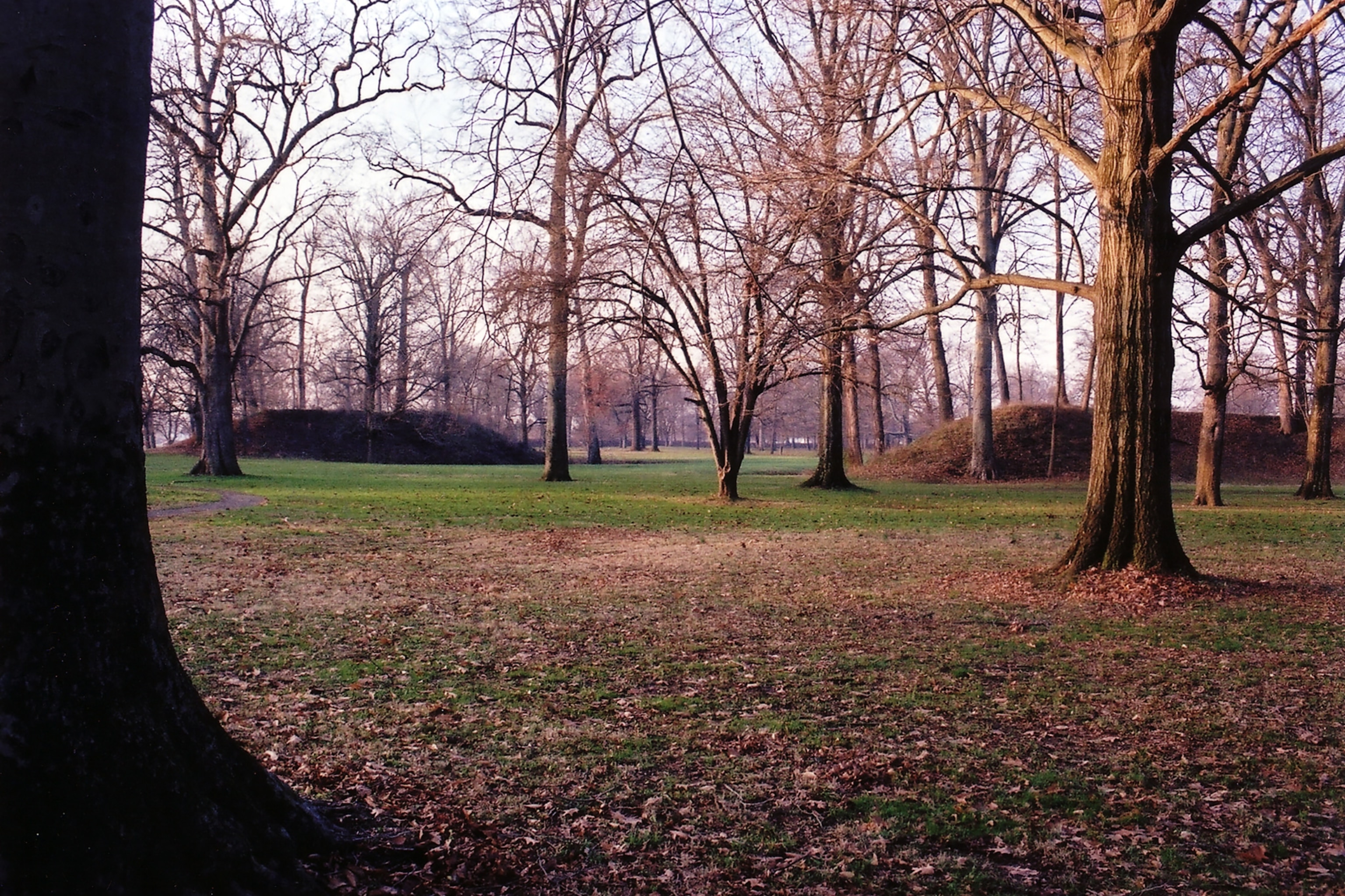 Inside the secret world of the Hopewell Mounds—our newest World ...