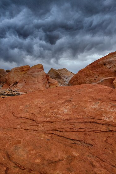 OUT OF THIS WORLD COLORS