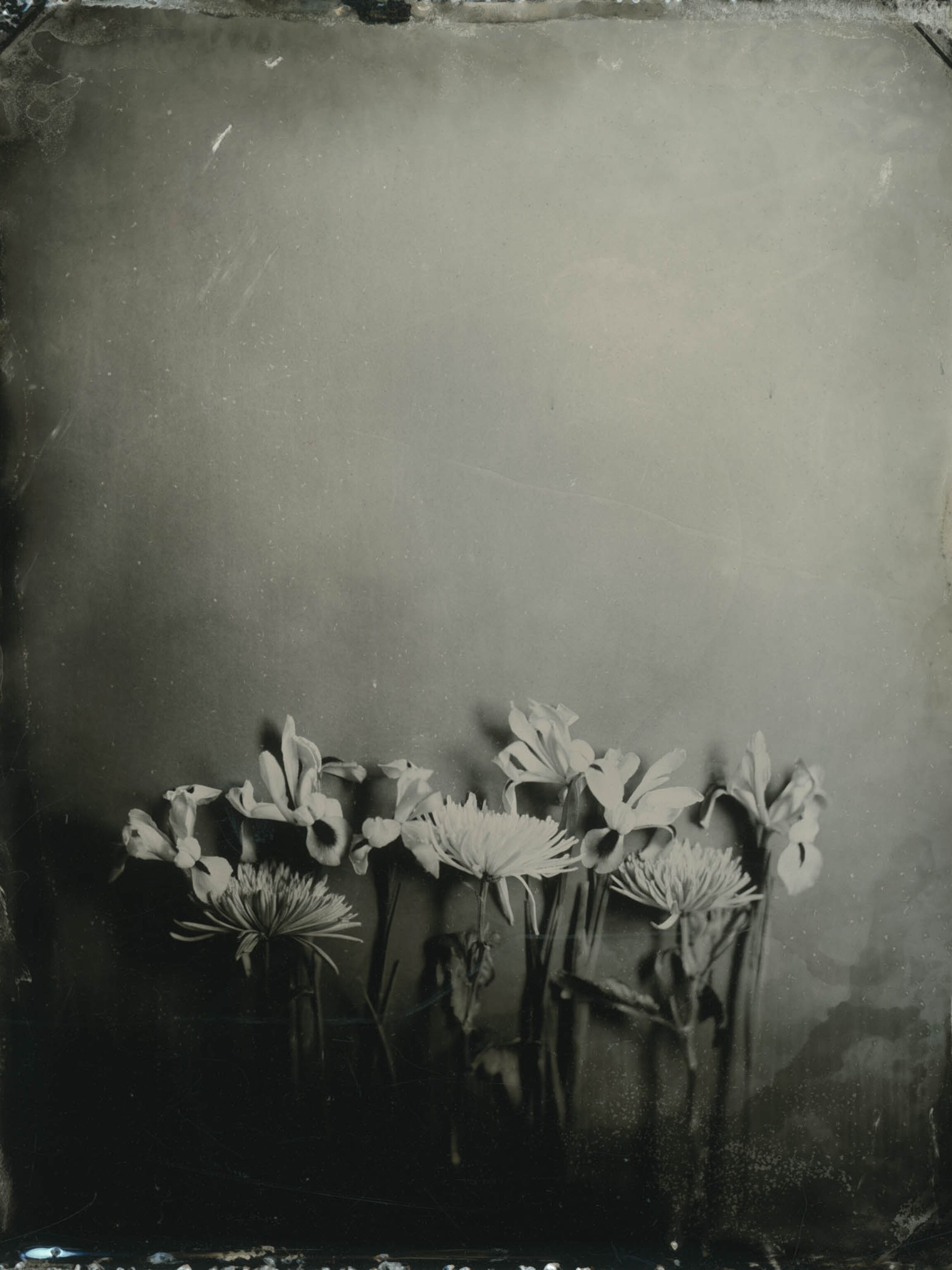 The Magical Alchemy of Wet Plate Photography
