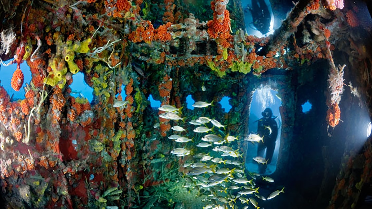 Relics to Reefs | National Geographic