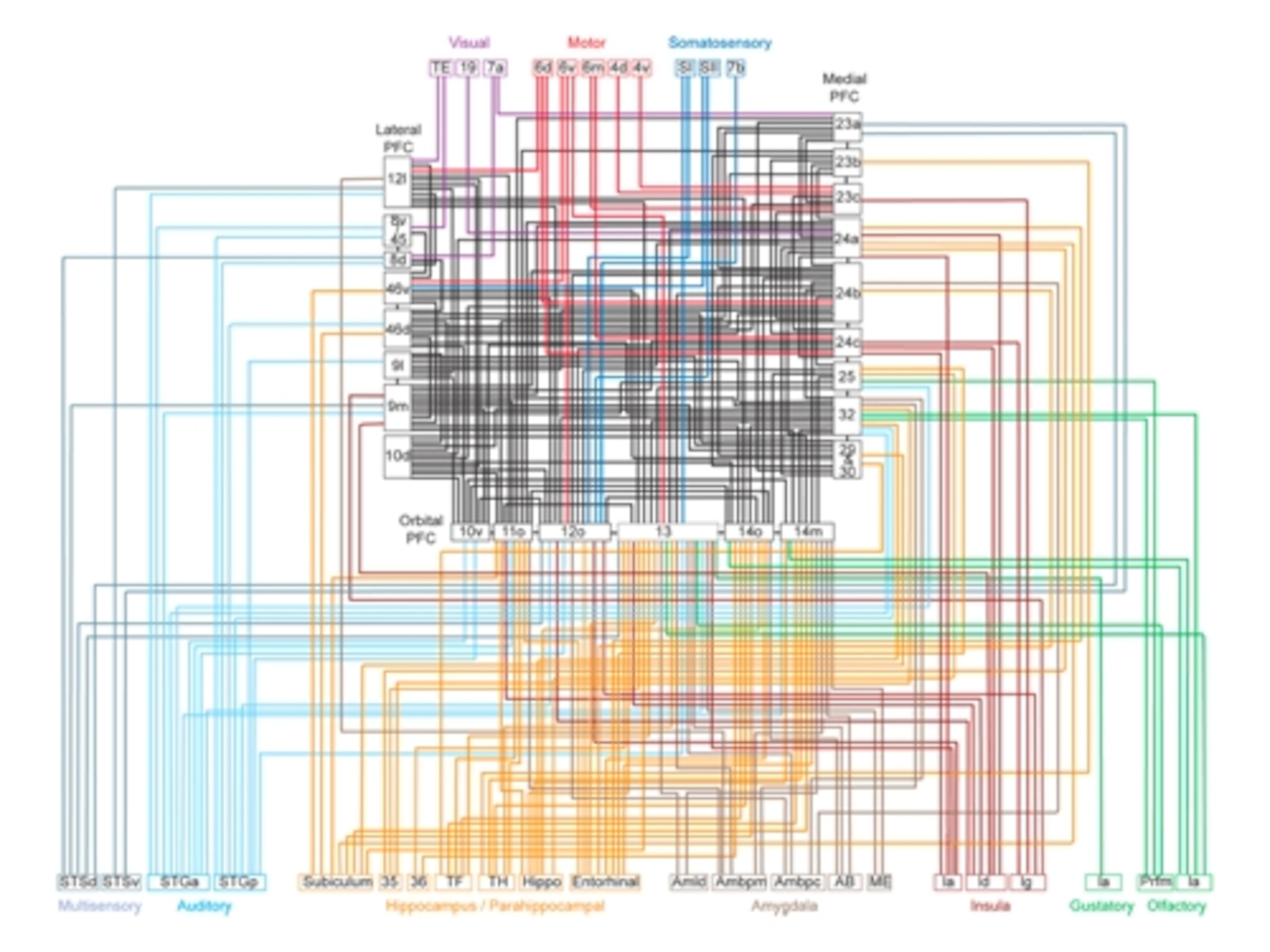 Mental Labyrinth | National Geographic
