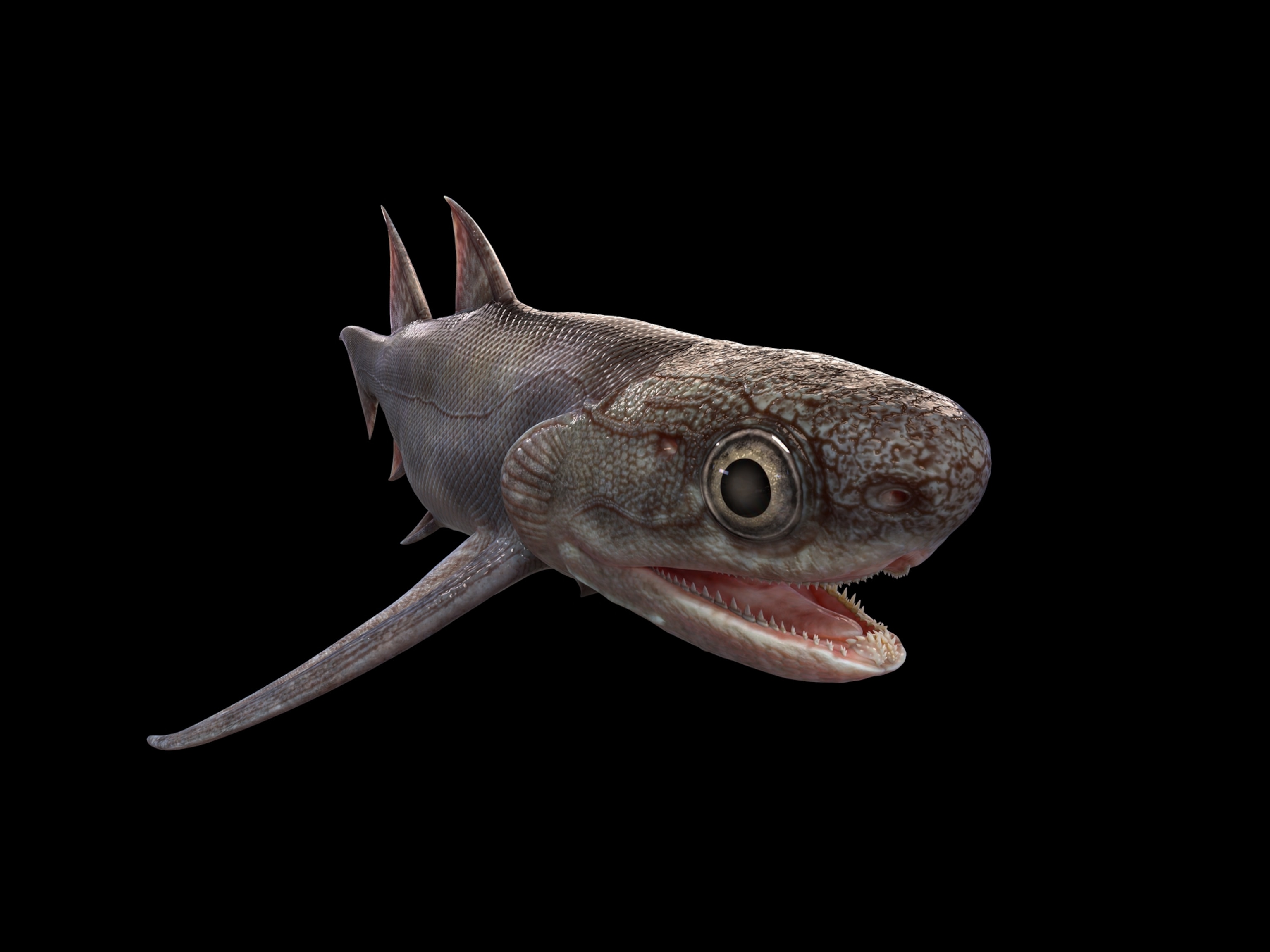 Spectacular fossil fish reveal a critical period of evolution