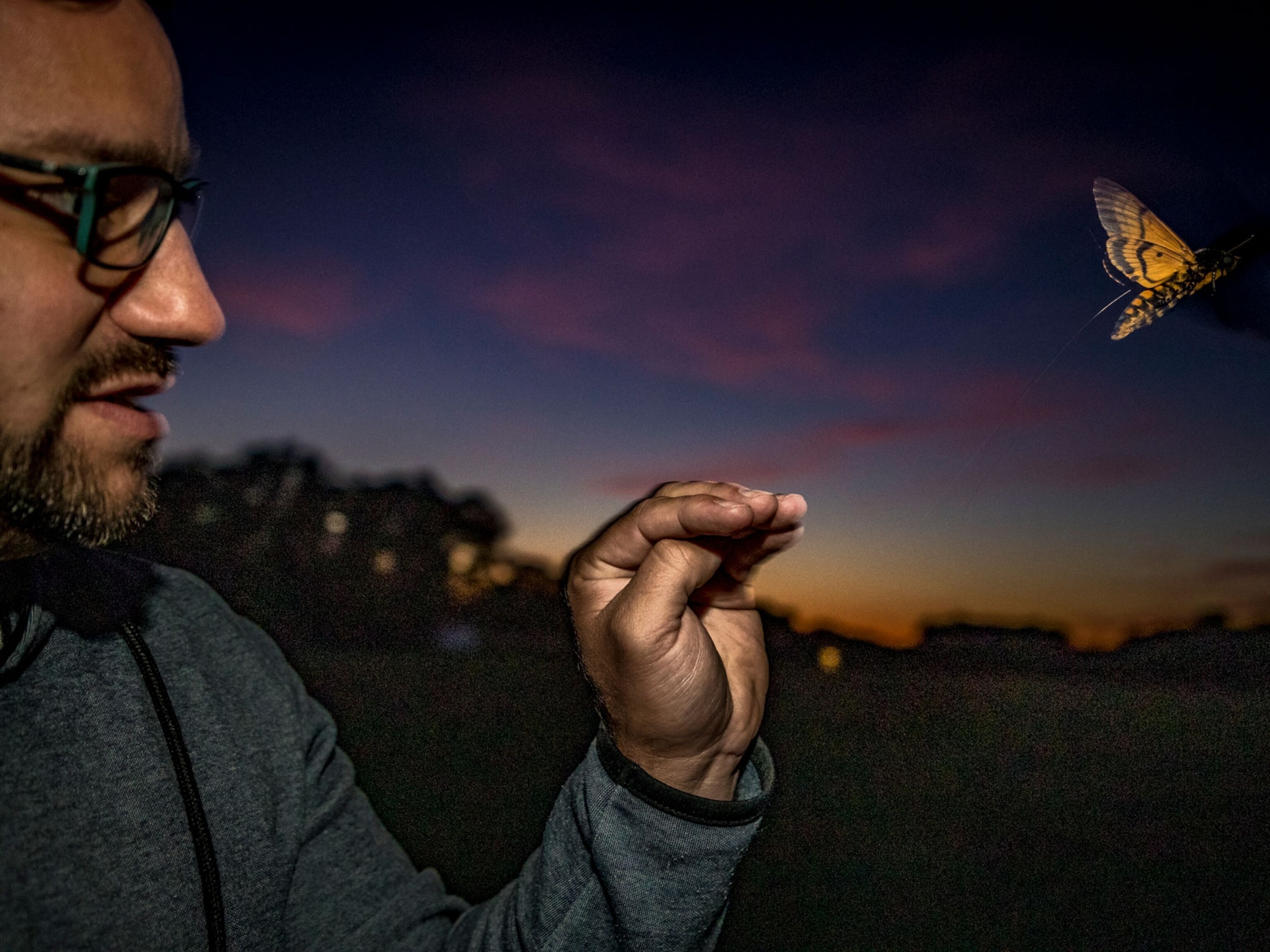 15 Pictures of Adaptable, Beautiful, and Misunderstood Moths