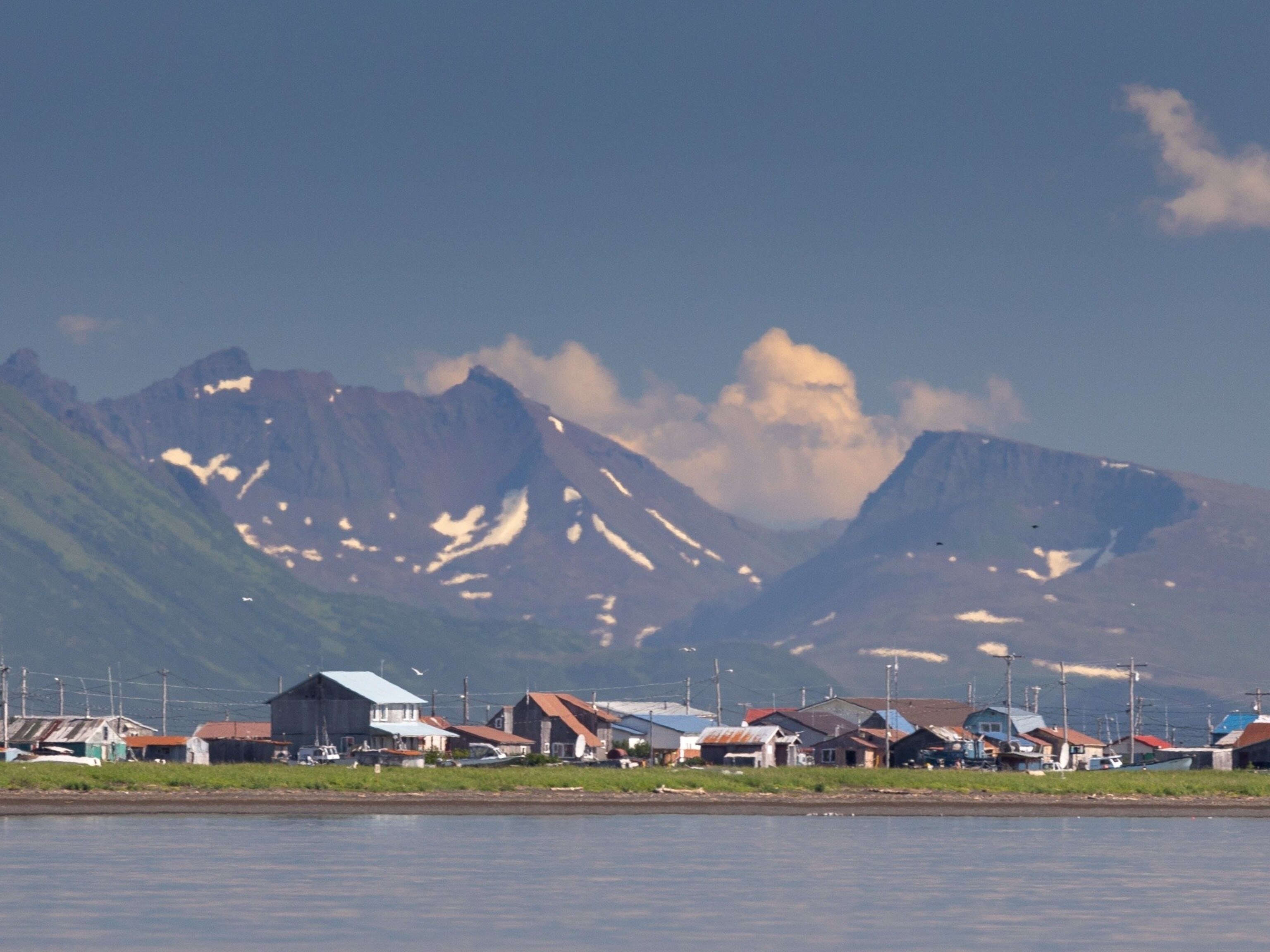 The isolated Alaska island where walruses sing
