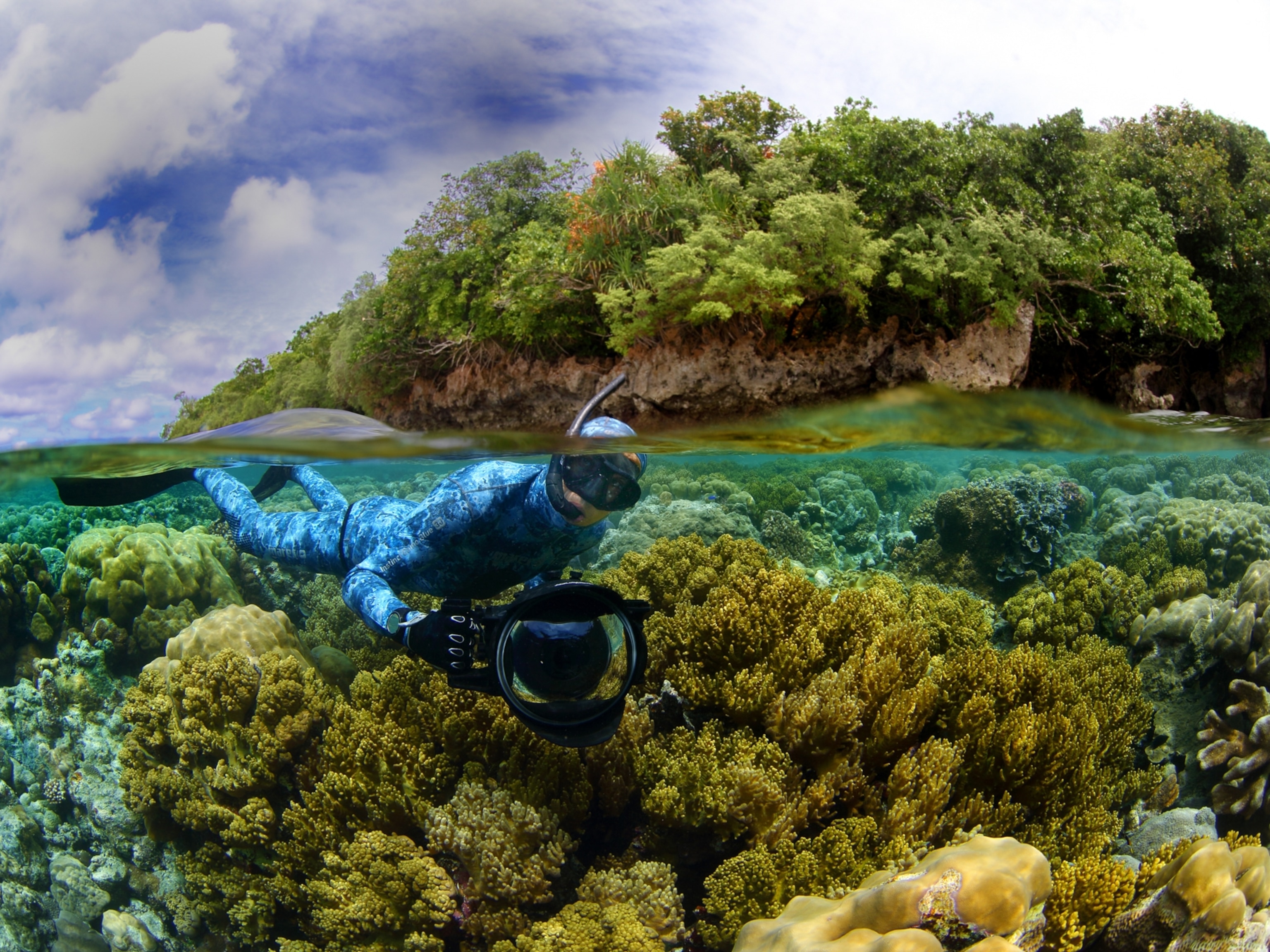 National Geographic Wins National Magazine Award for Gender Revolution