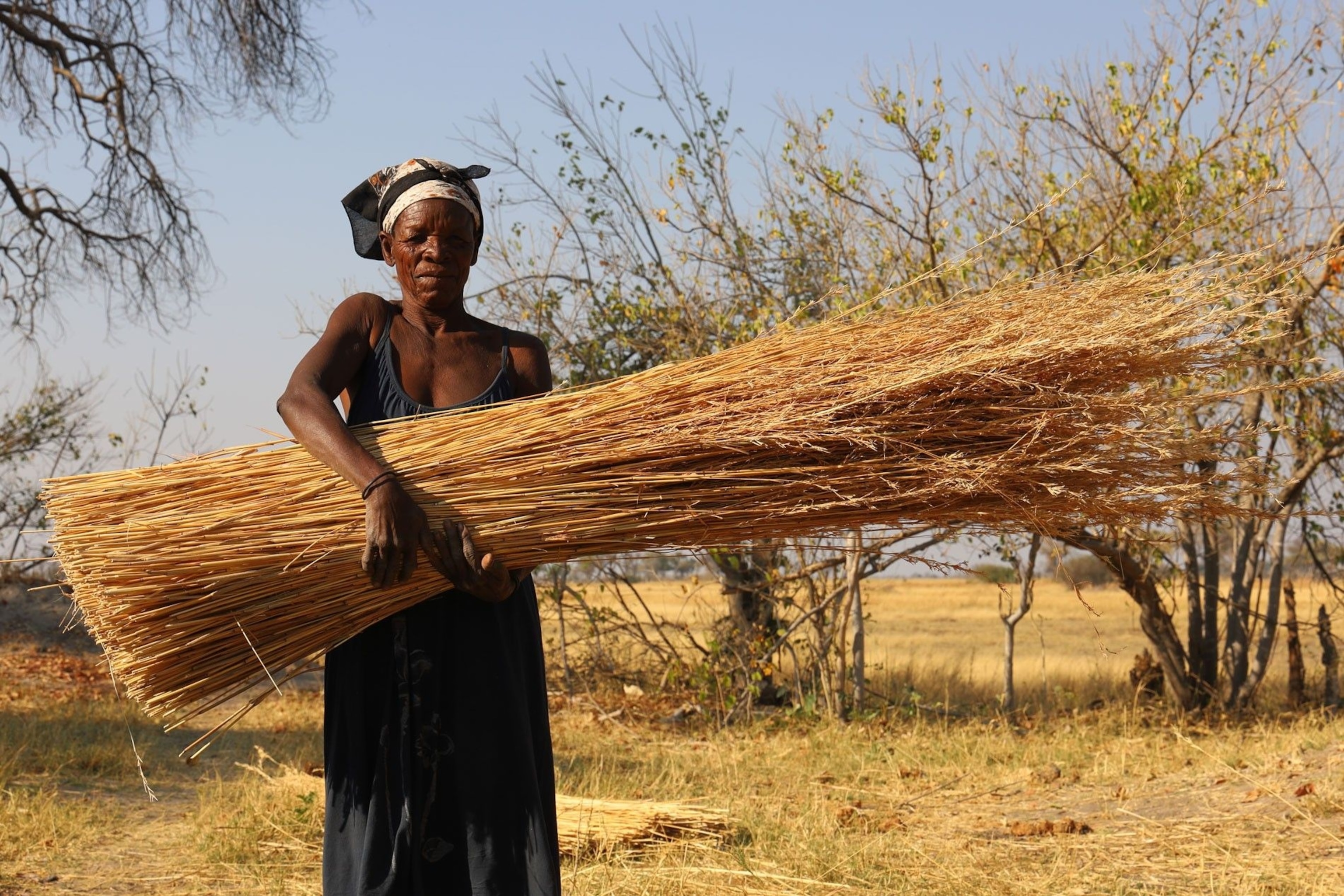 Into the Okavango Delta: a portrait of Africa’s wildest conservation ...