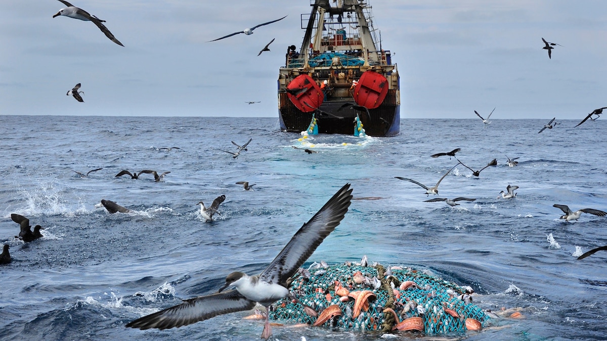 Global Ocean Commission Calls for Sweeping International Reforms ...