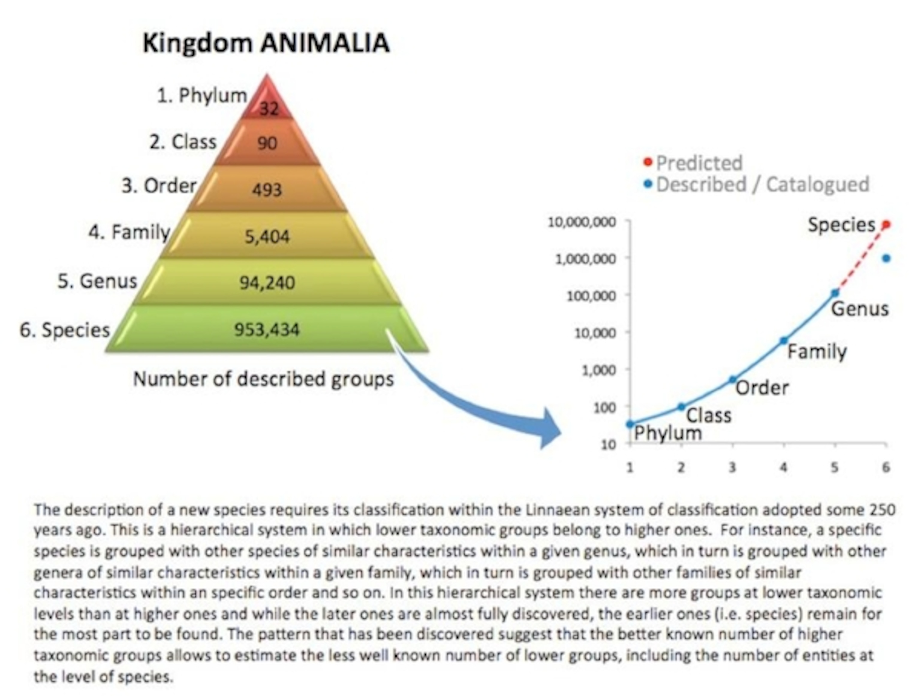 How many species are there? My latest for the New York Times | National ...