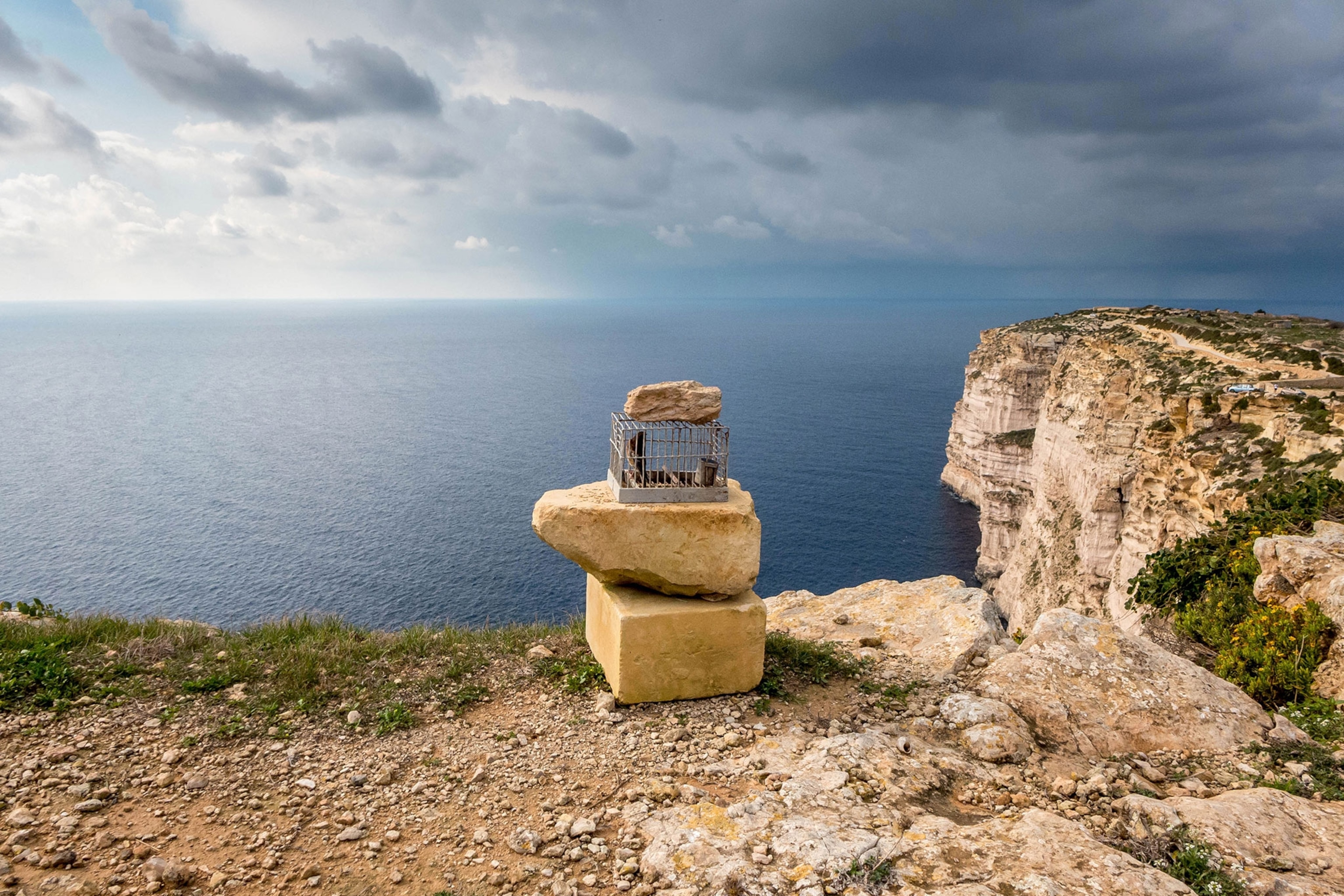 Inside the fight to combat songbird poaching in Italy and Malta.