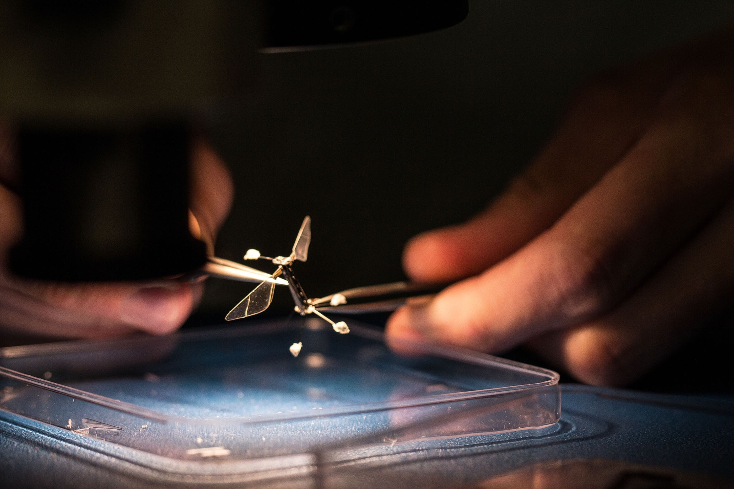 Engineer Sees Big Possibilities in Micro-robots, Including Programmable ...