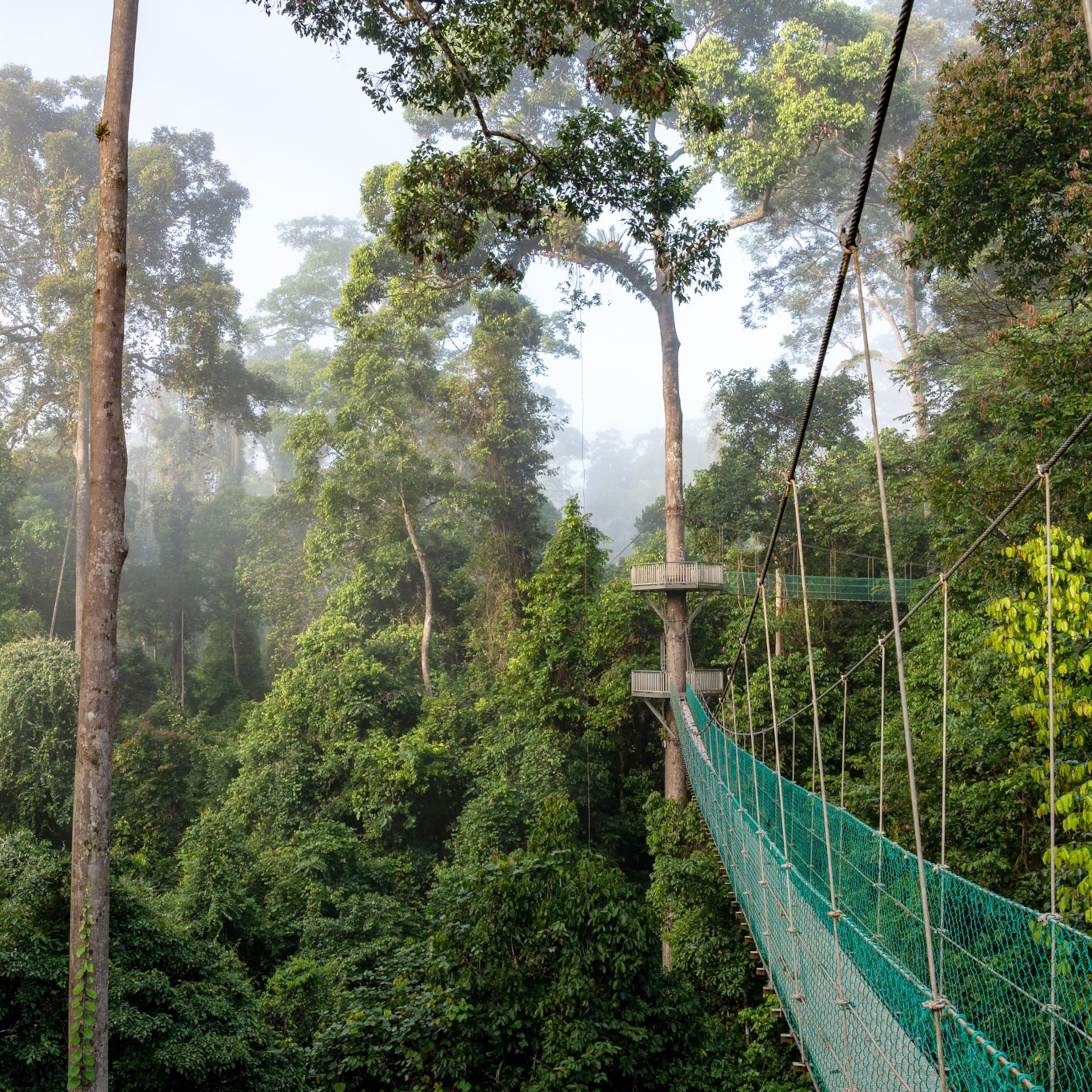 City Rainforest Malaysia