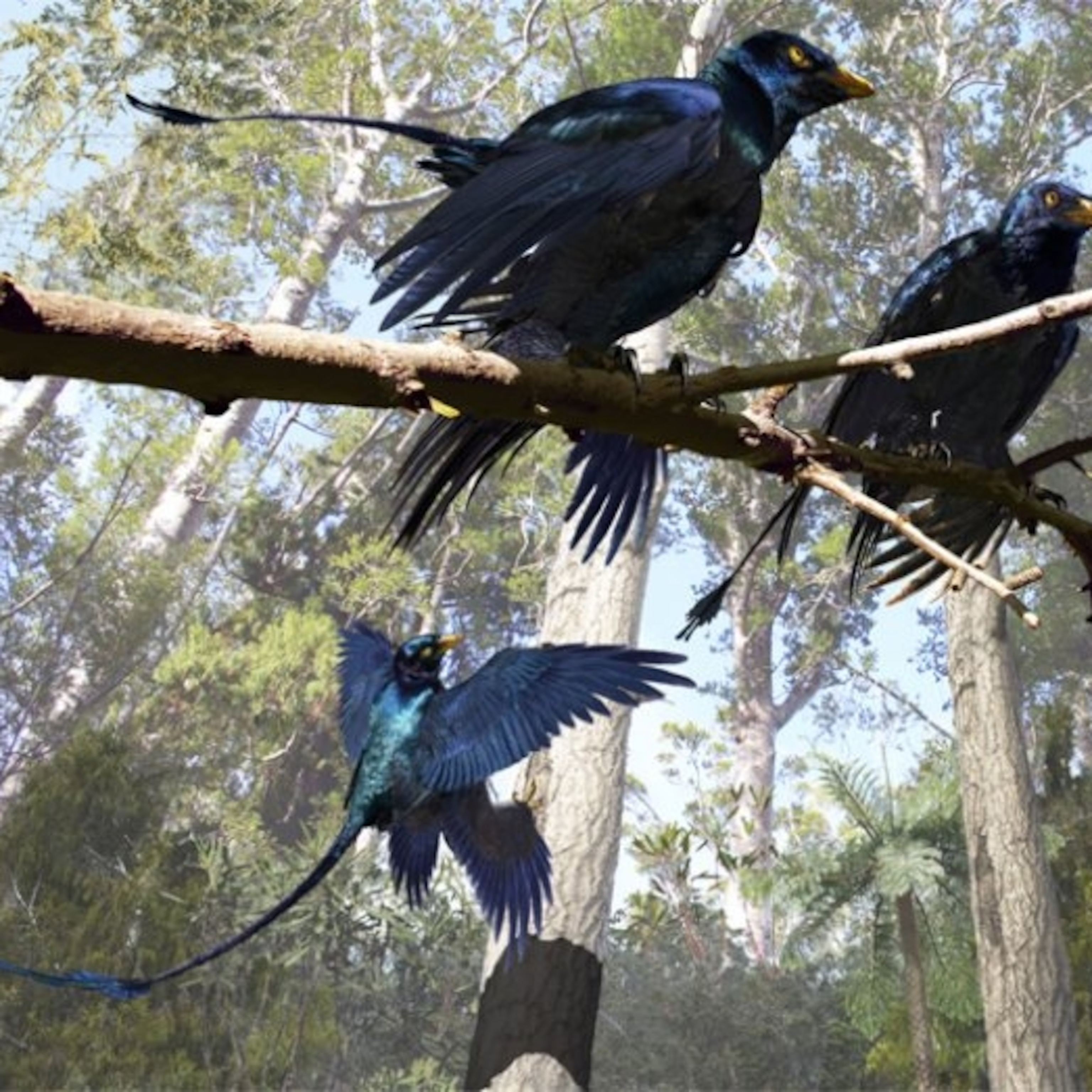 A shiny dinosaur –four-winged Microraptor gets colour and gloss