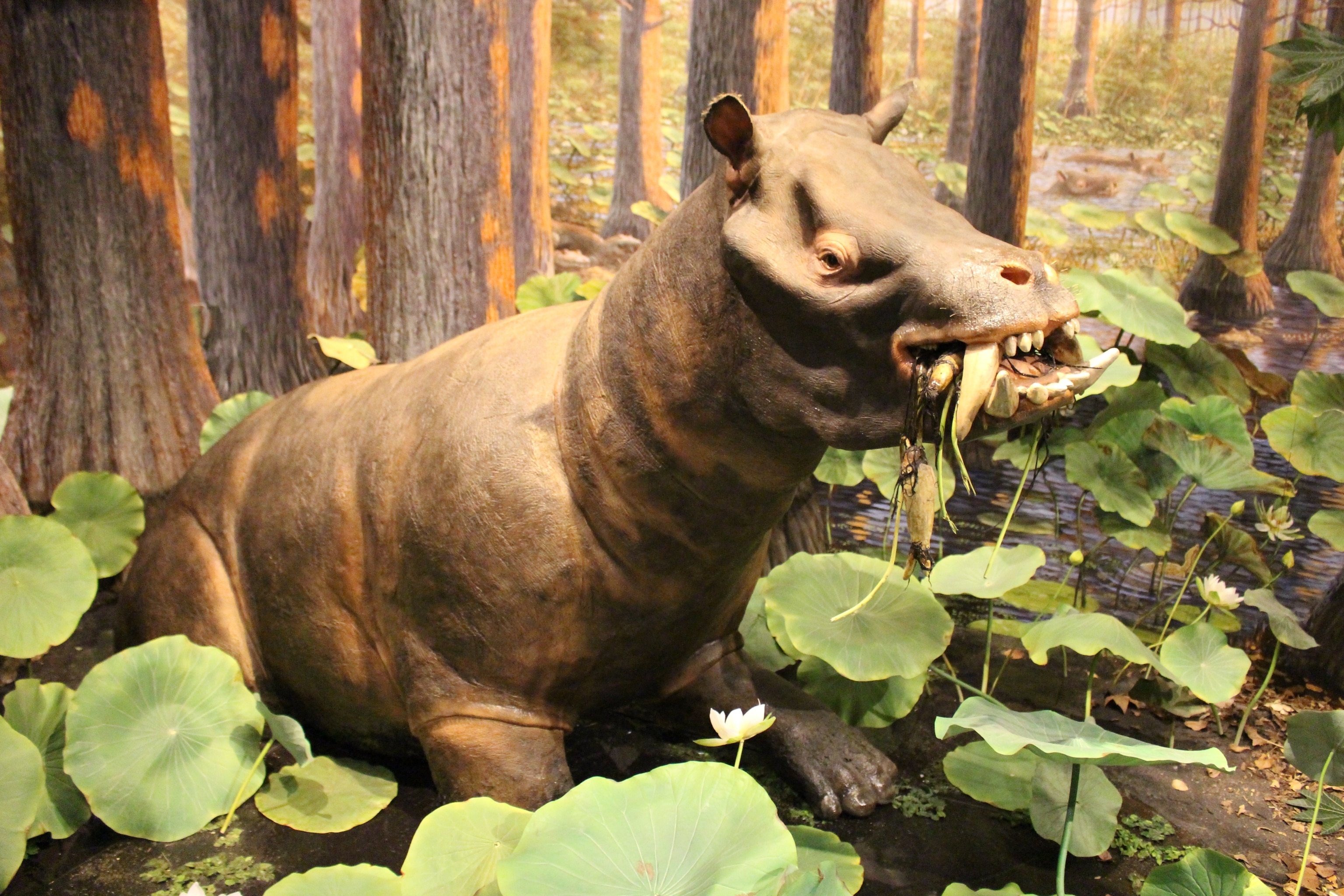 One for the Beasts | National Geographic