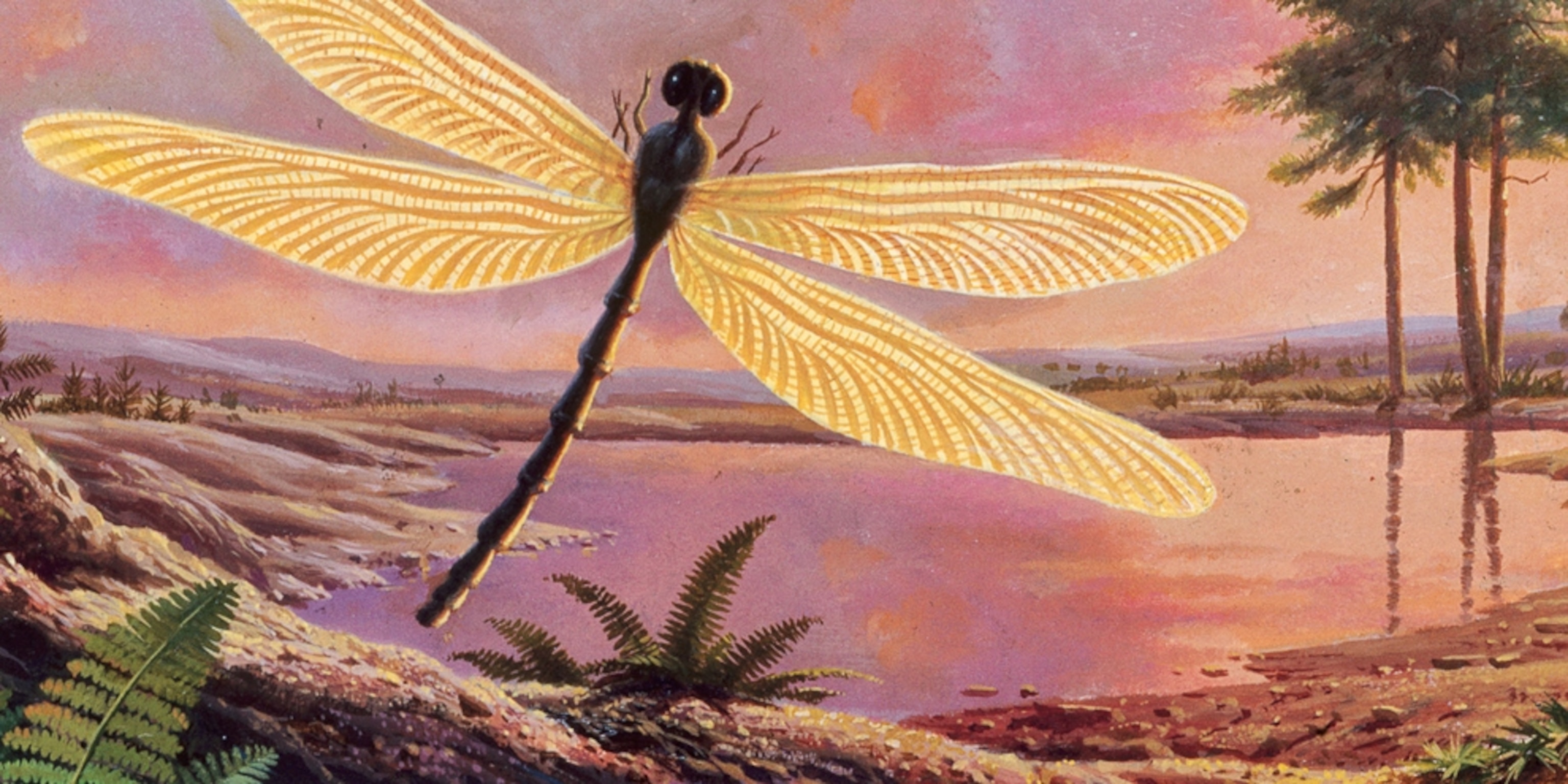 Prehistoric Insects Size