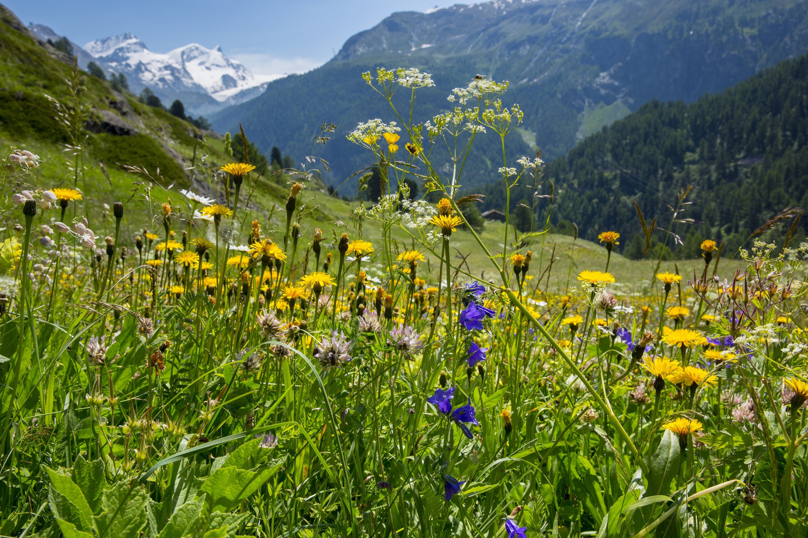 Travel lighter in sustainability-focused Switzerland