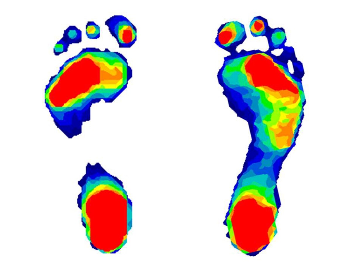 A New Feet in Primate Research