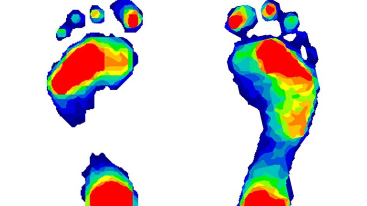 A New Feet in Primate Research | National Geographic