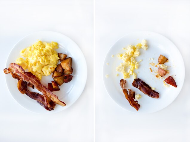Food Waste Plate