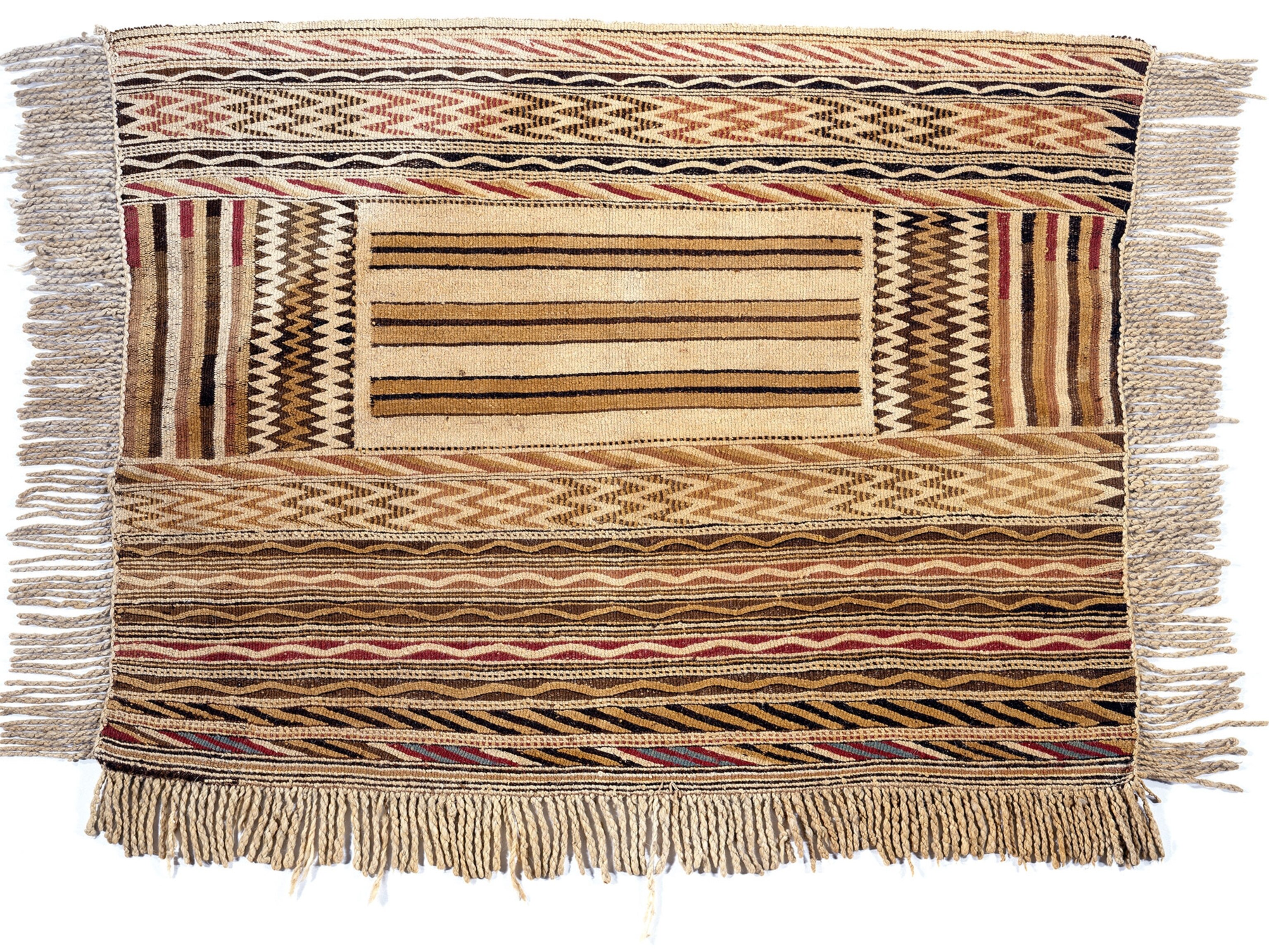 The mystery of the Coast Salish woolly dog