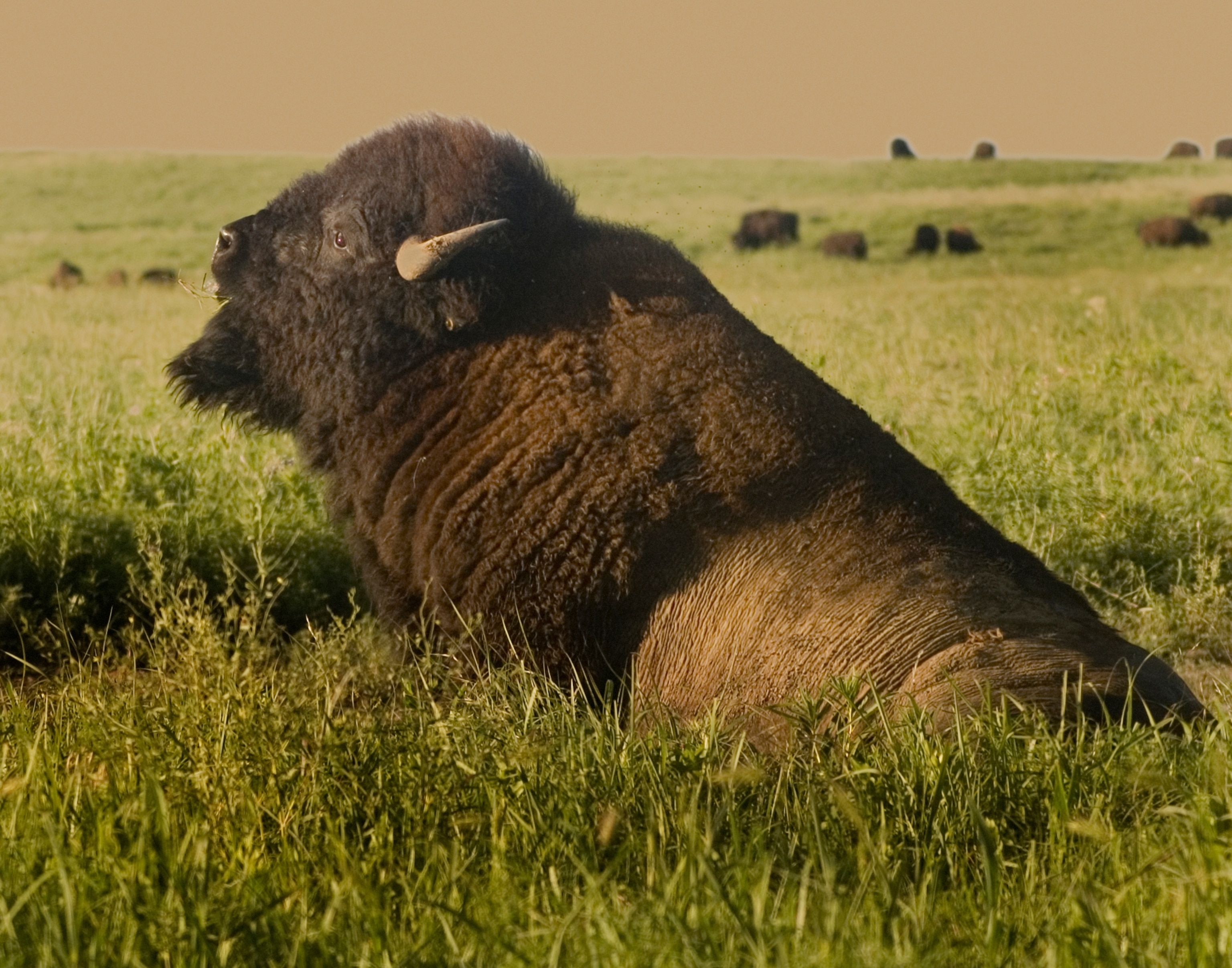 He Said/She Said Tulsa | National Geographic