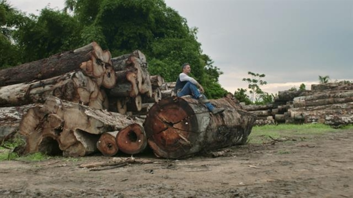 Creating harmony between energy and the environment | National Geographic