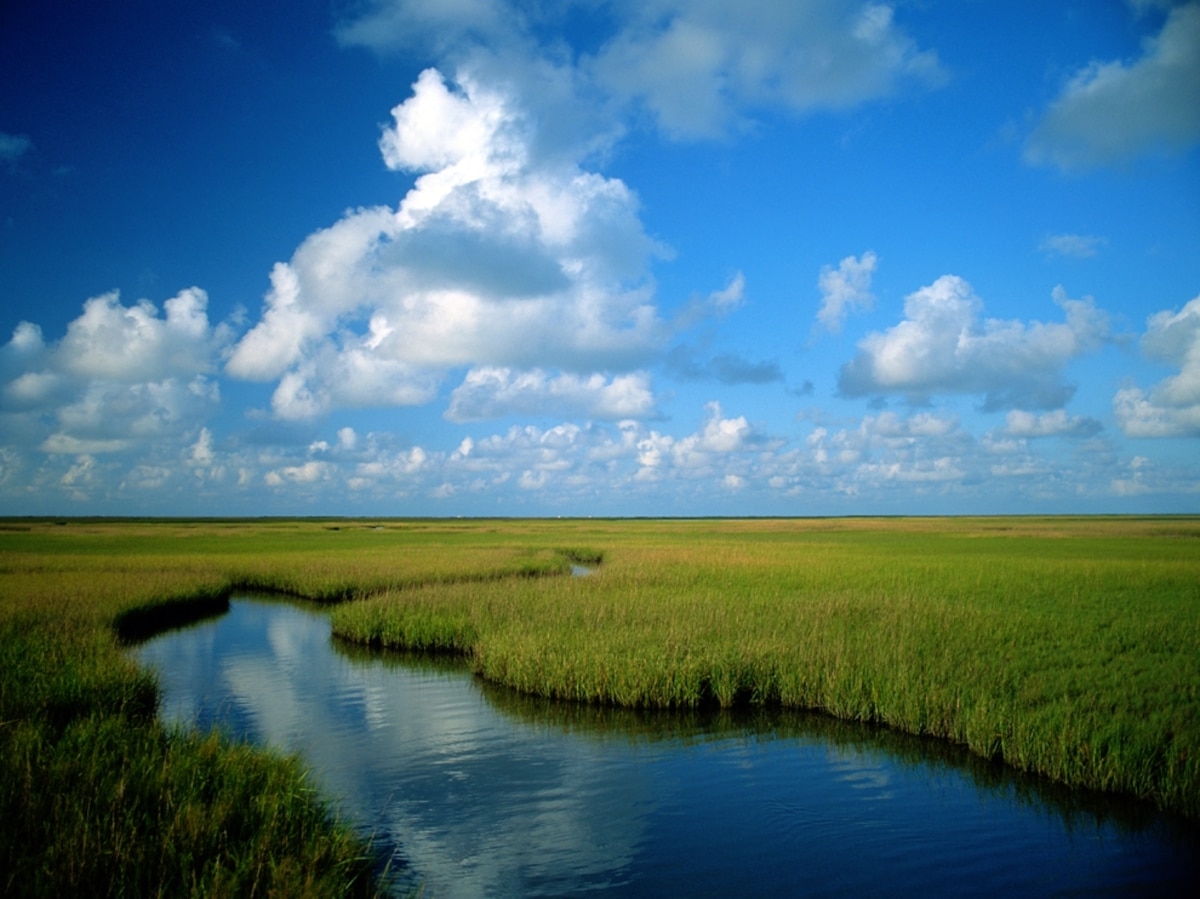 Coastal Destinations Rated -- Coastal Louisiana -- National Geographic ...