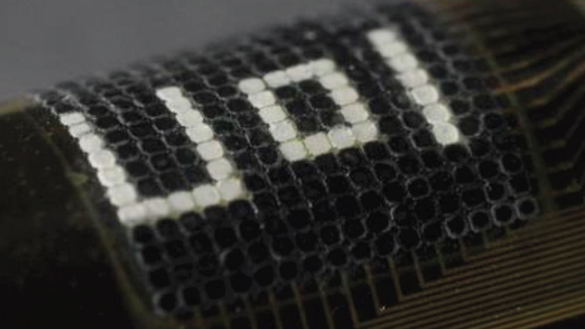 Adaptive Colour-Changing Sheet Inspired By Octopus Skin | National ...