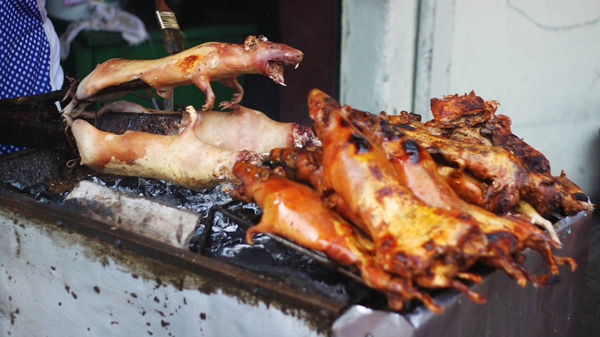 A Billion-Dollar Appetite for the Bizarre and Illegal | National Geographic