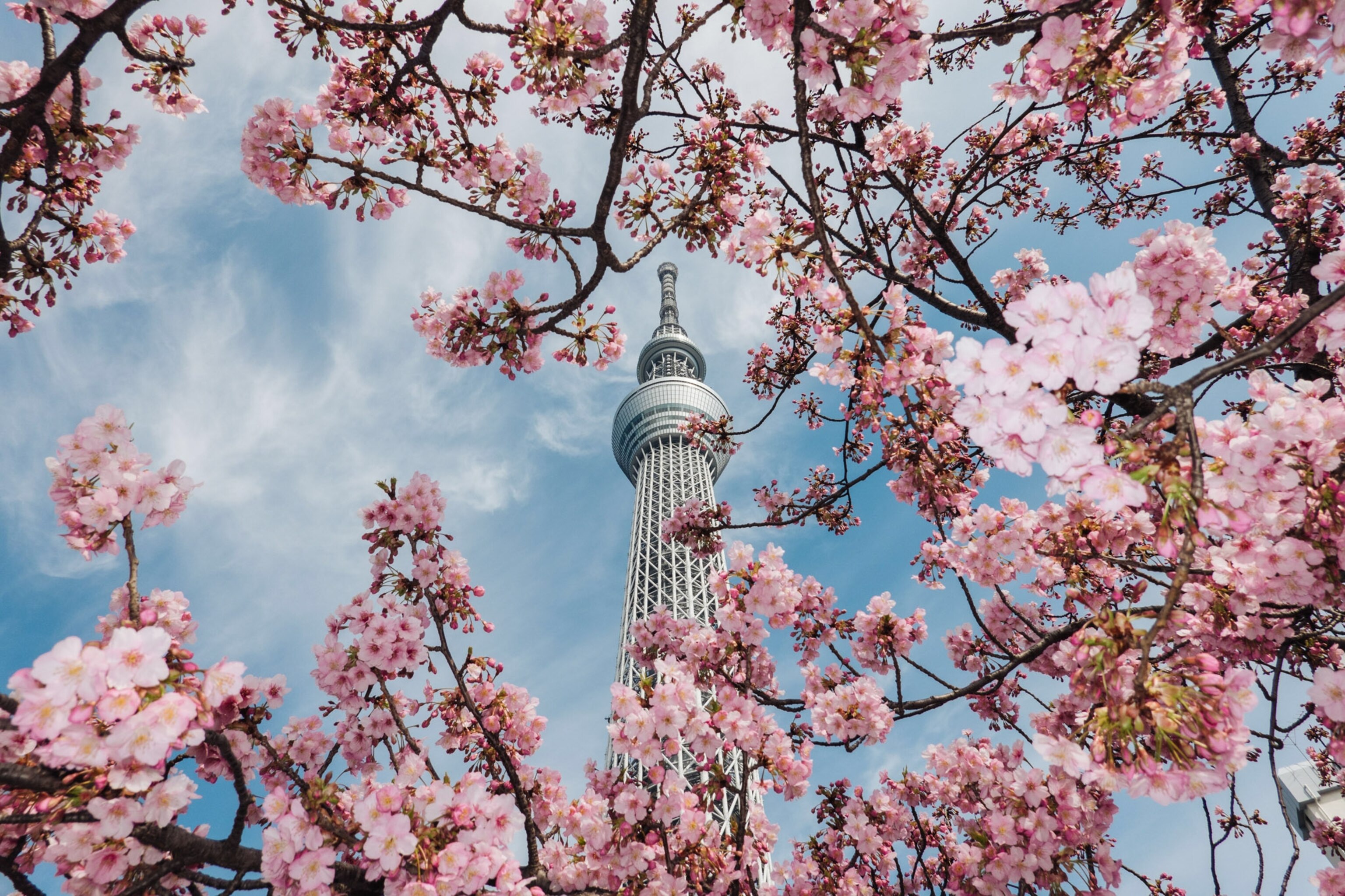 Japan spent decades making itself earthquake resilient. Here's how.