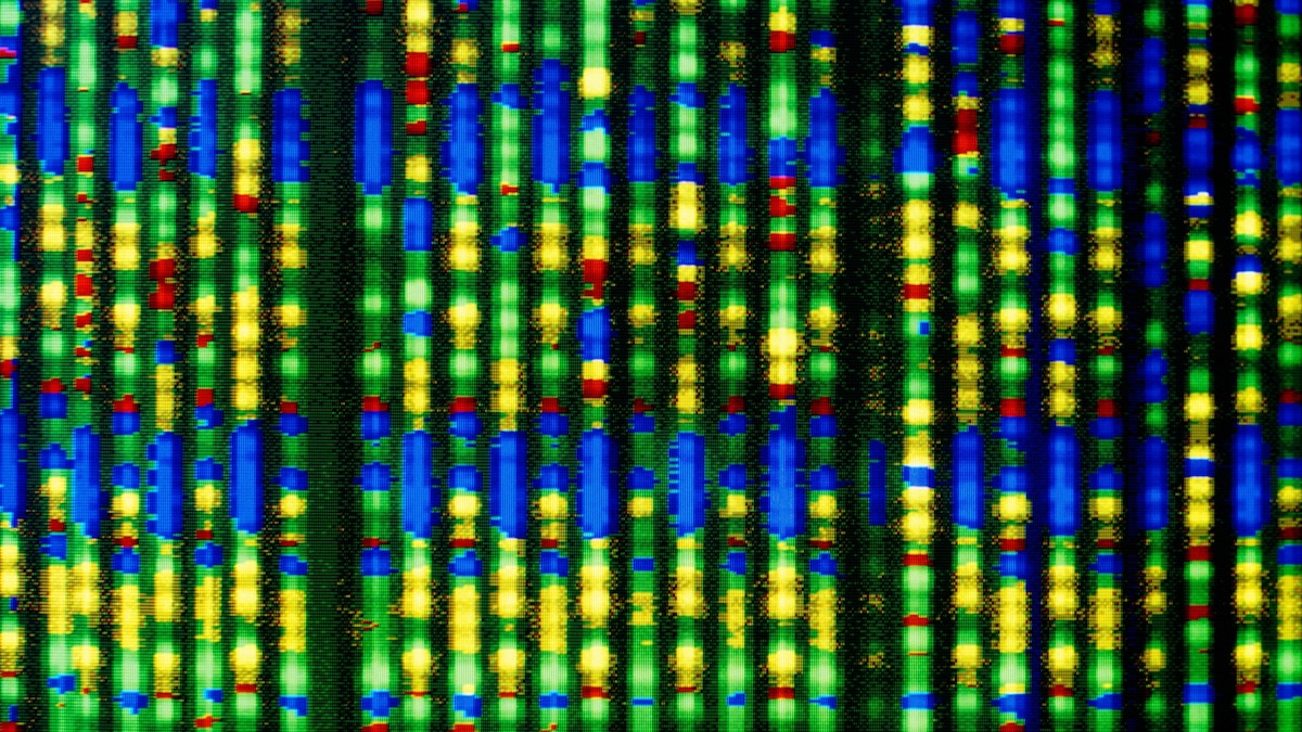 Q&A: Genome Pioneer Craig Venter Plans Largest Human Genome Project to ...