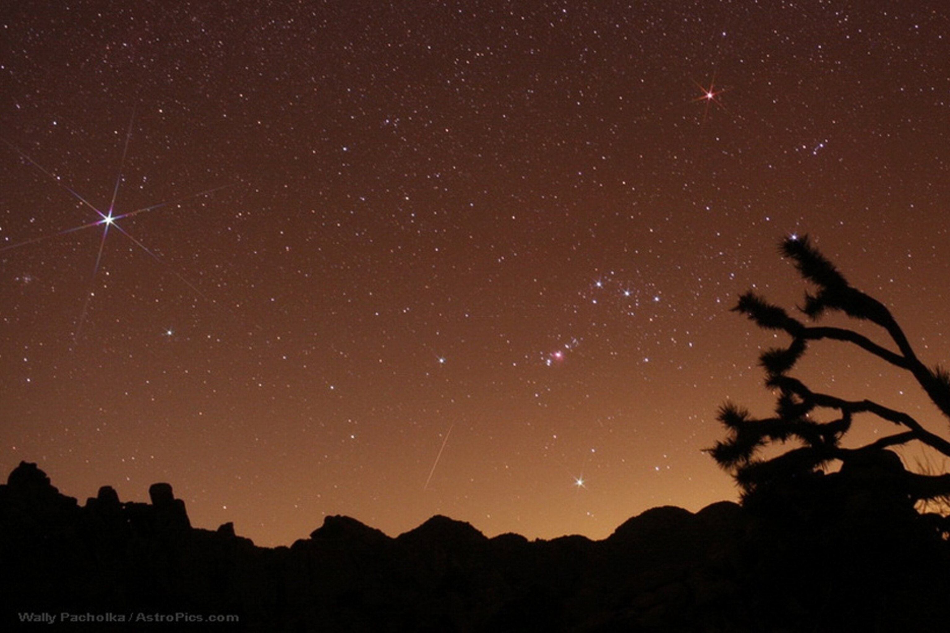 2011 Quadrantid Meteors: See What You May Have Missed