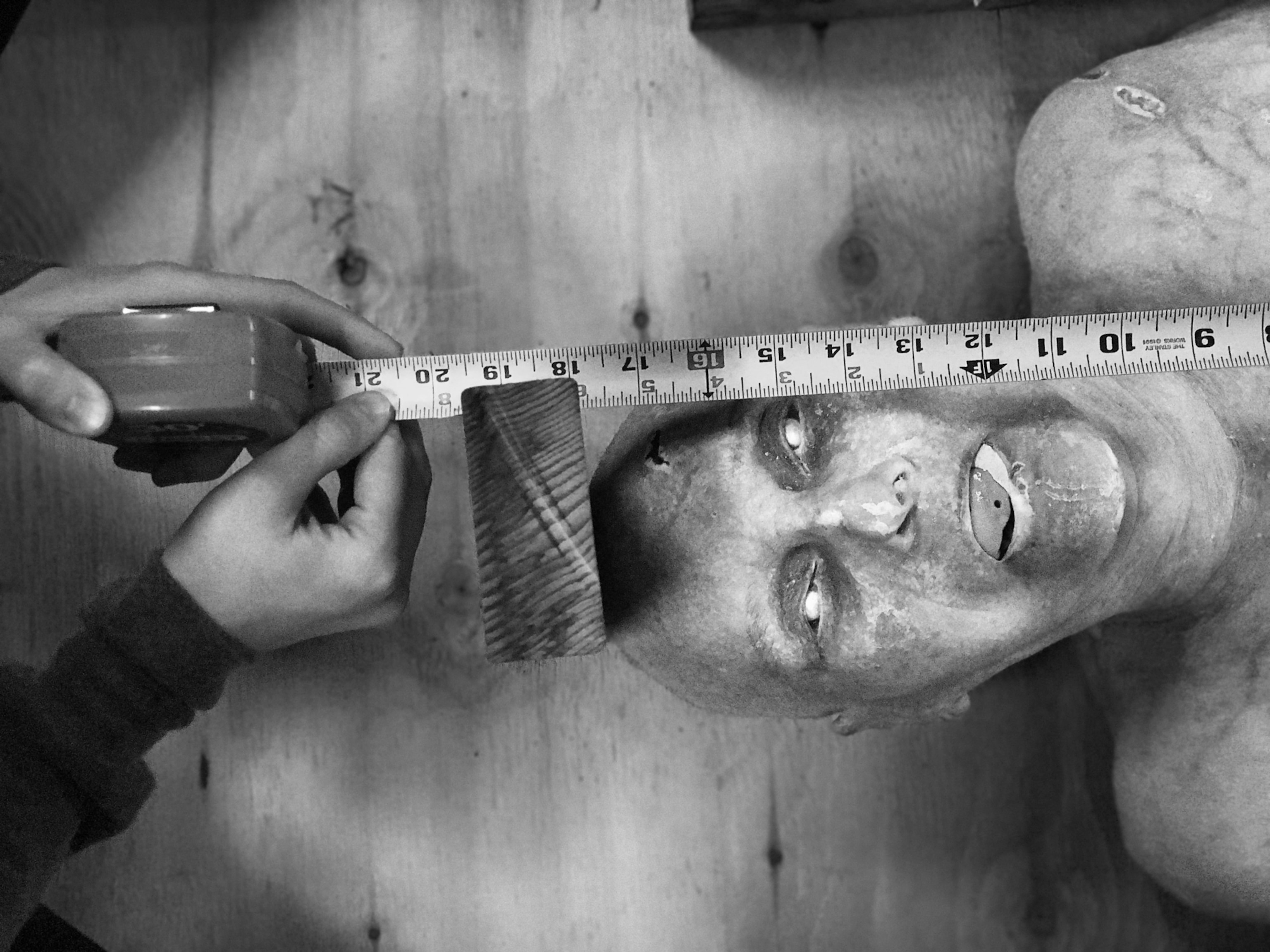 Susan Potter gave her body to science. Her cadaver became immortal.