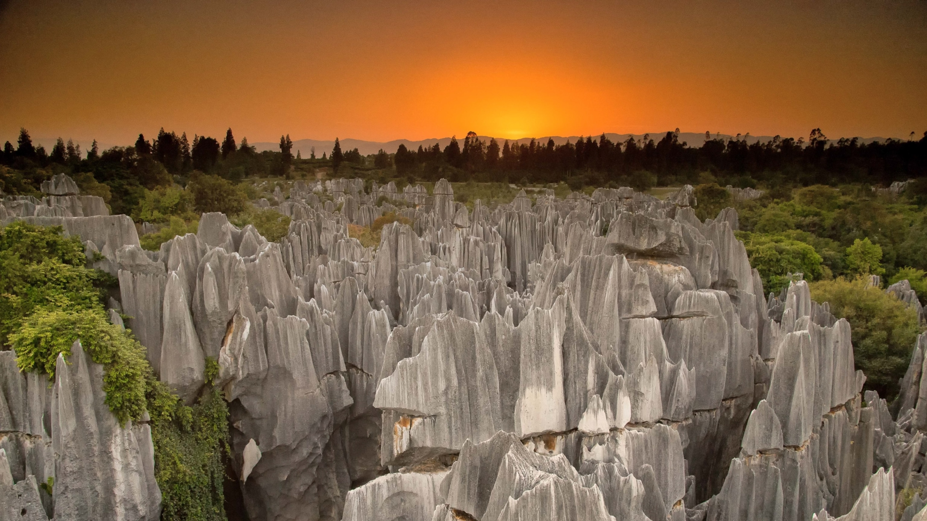 Earth is a geological oddball in our solar system. This is why.