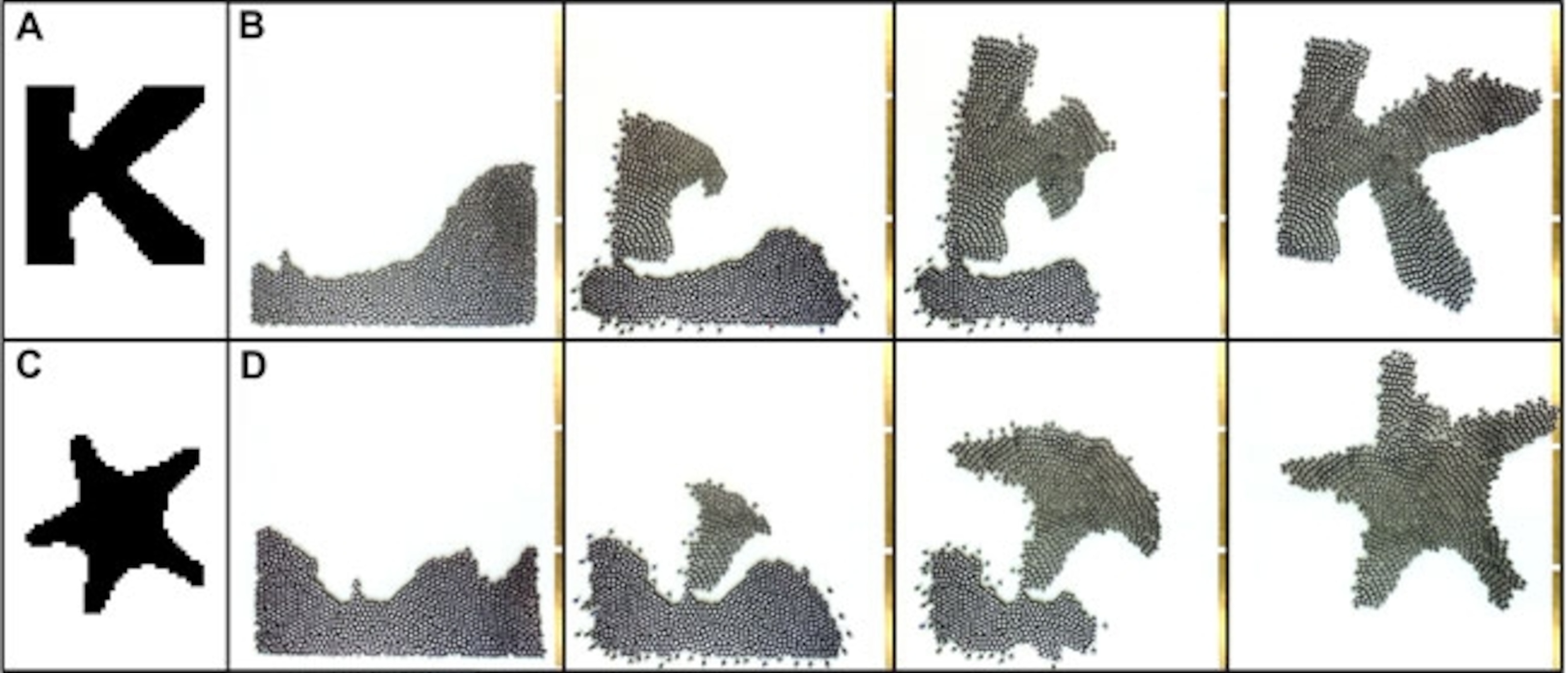 A Swarm of a Thousand Cooperative, Self-Organising Robots | National ...