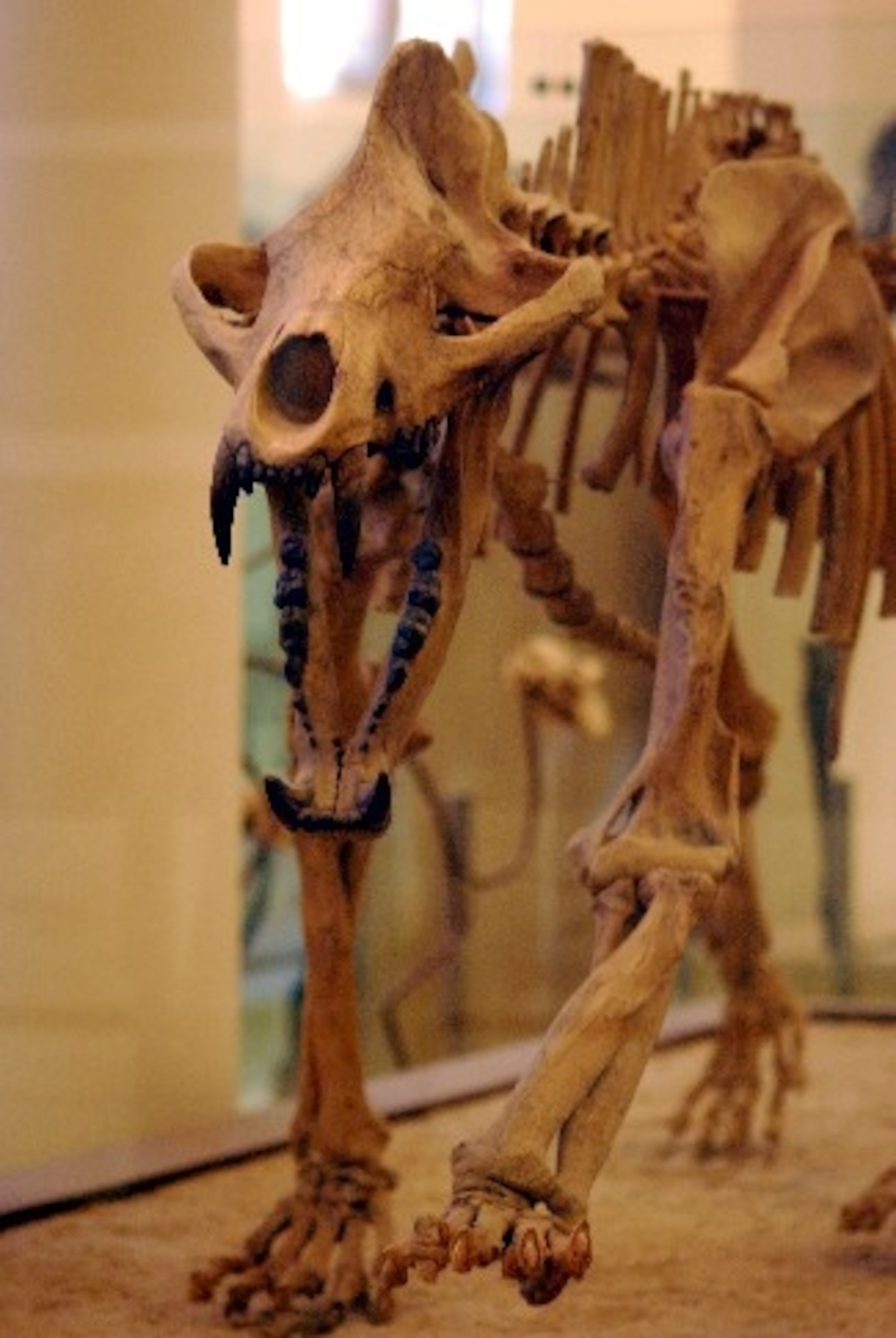 Bone Sharps, Bear-Dogs, and New Jersey’s Terrible Tyrant | National ...